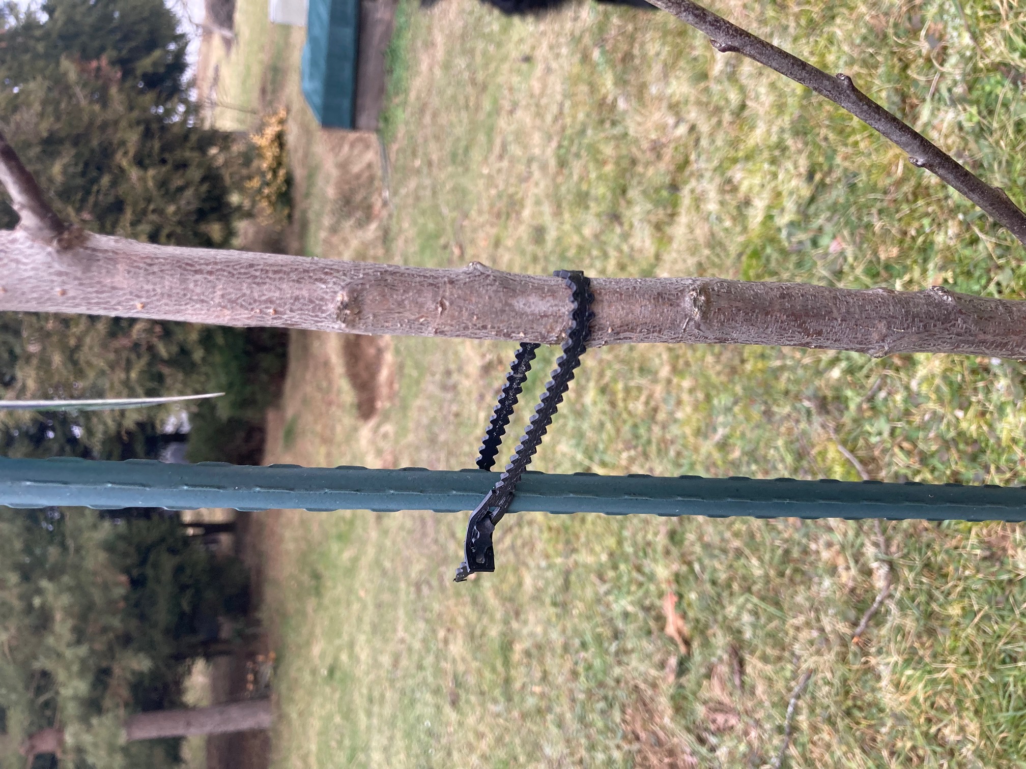 Multipurpose "SUPERCLIP" ( plant clip / cable clip) by Viktor M ...