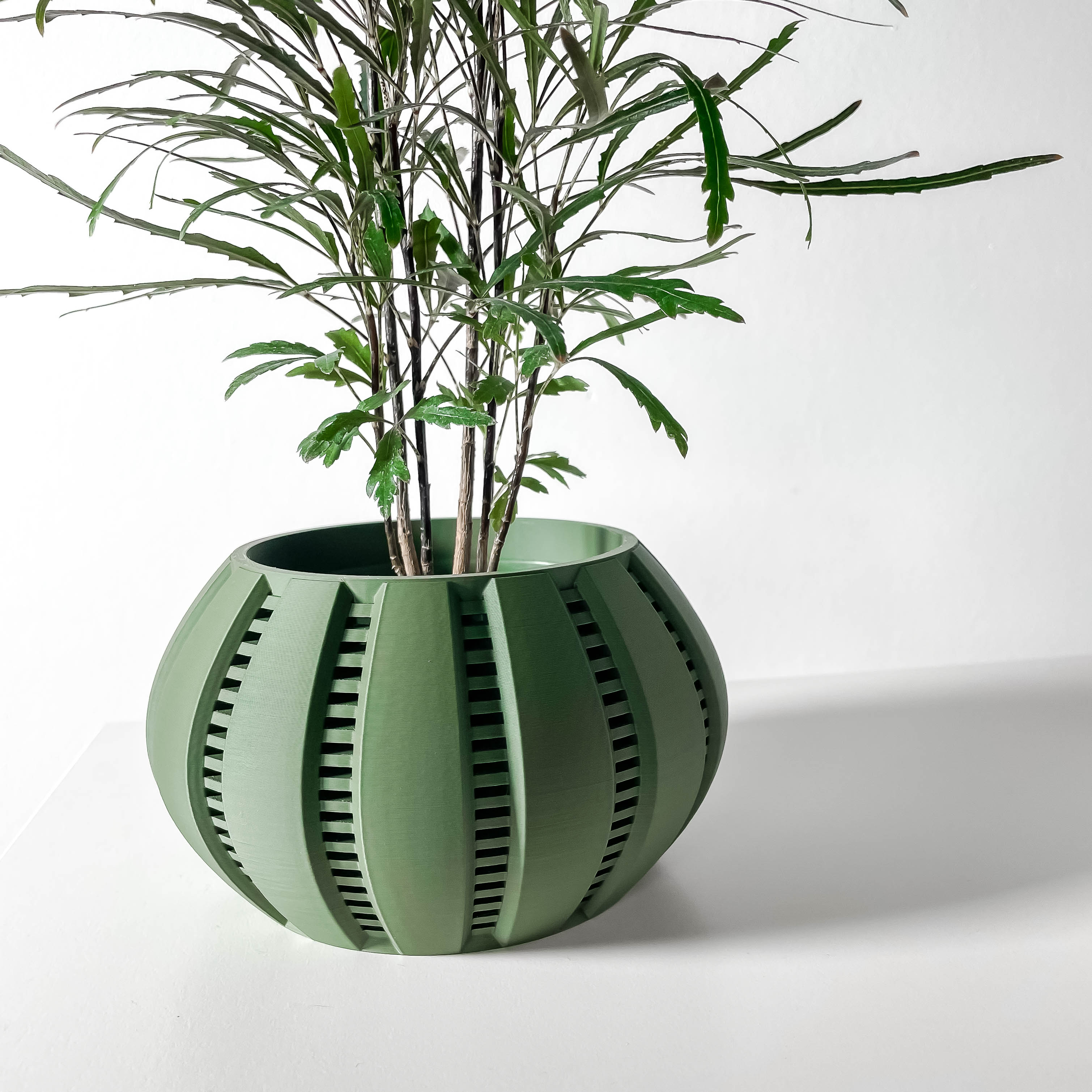 The Balu Planter Pot with Drainage Tray & Stand Included: Modern and ...
