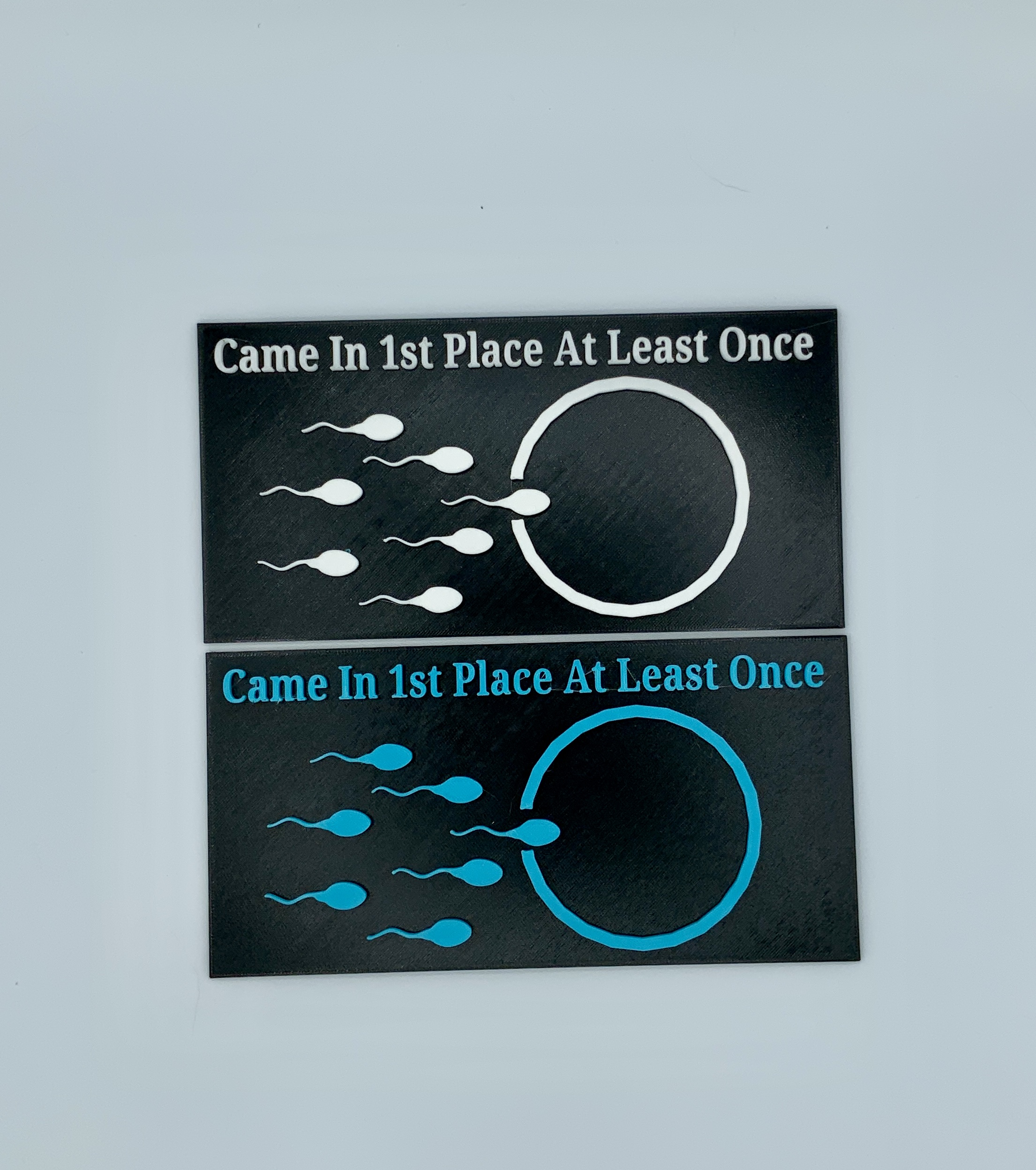 Came in 1st place at least once sign gag gift by Fadings | Download ...