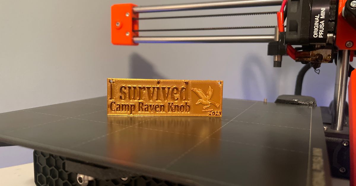 I survived Camp Raven Knob 2023 by Avery88 | Download free STL model ...