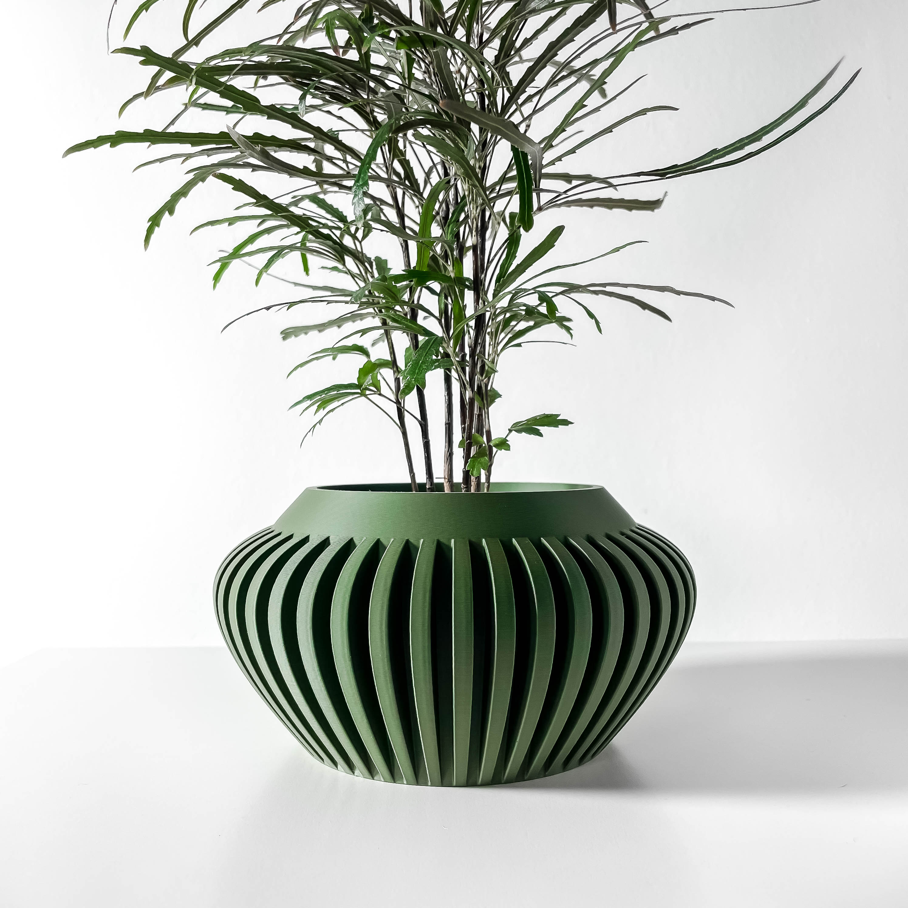 The Caios Planter Pot with Drainage Tray & Stand Included: Modern and ...