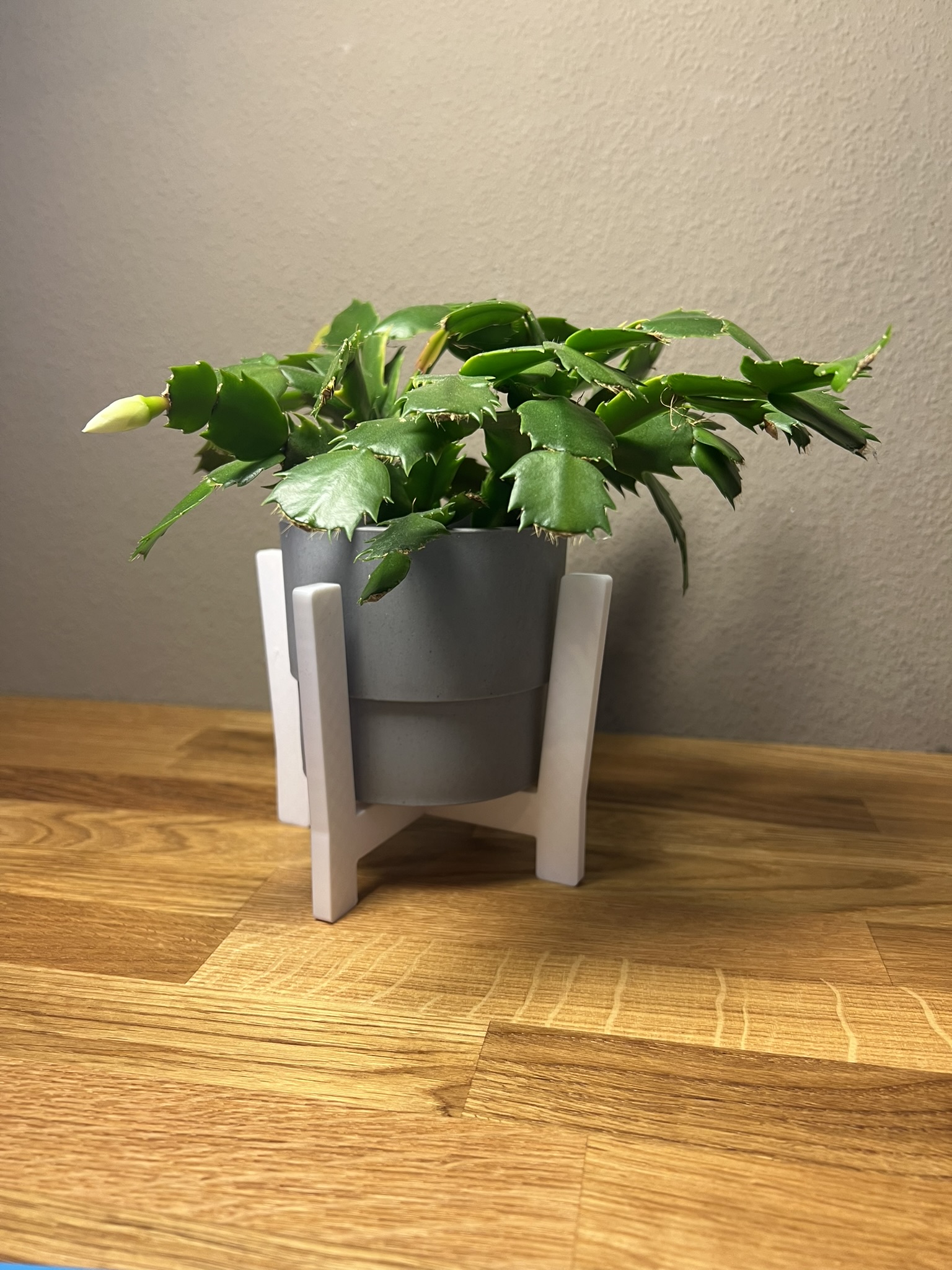 Planter Stand by Extruterrestrial | Download free STL model ...