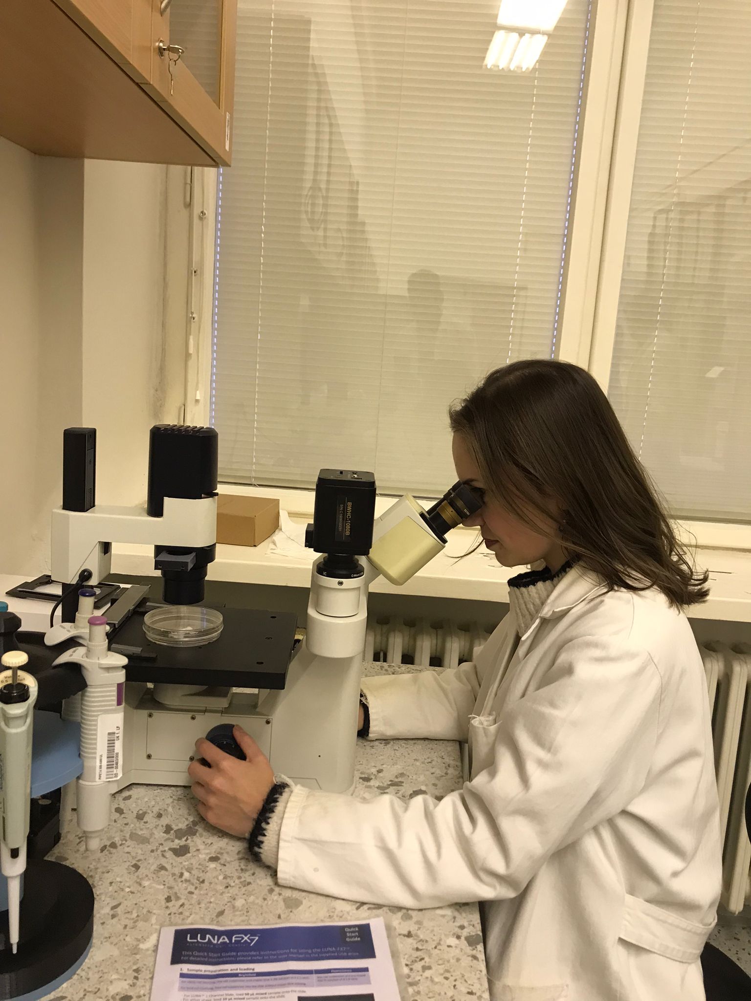 Brain matrix for slicing por Daniel | Educación | Printables.com