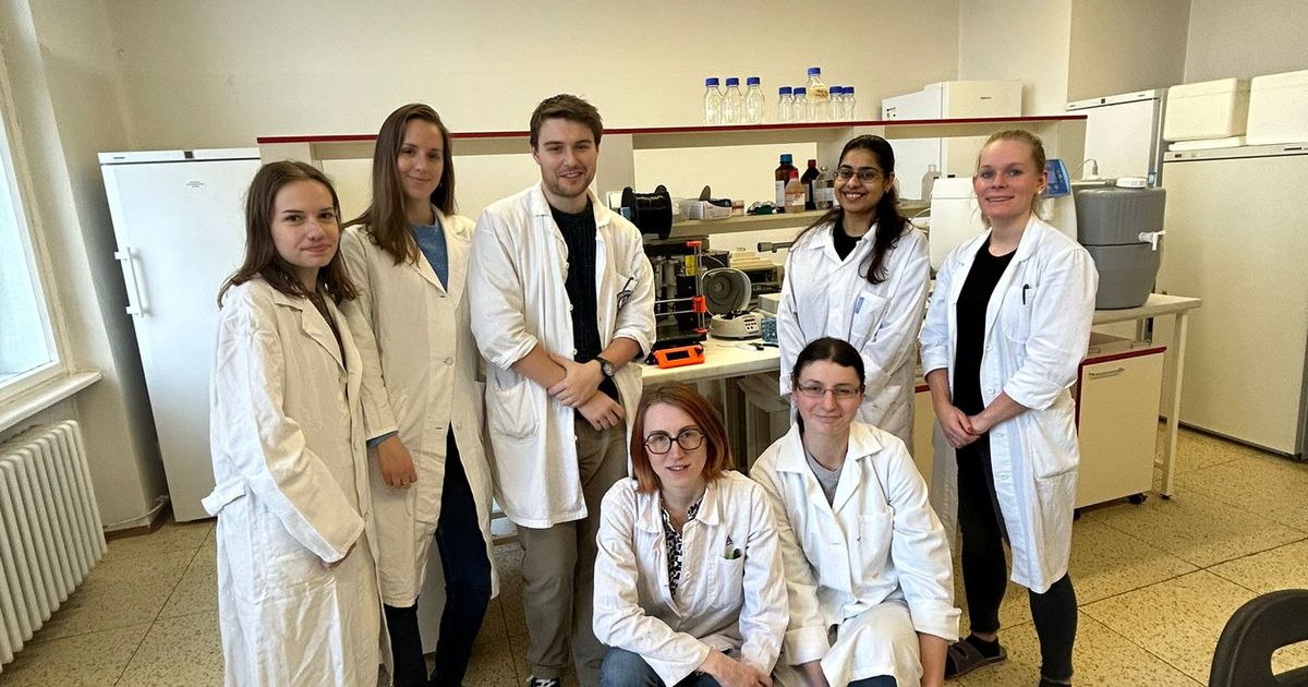 Brain matrix for slicing par Daniel | Éducation | Printables.com