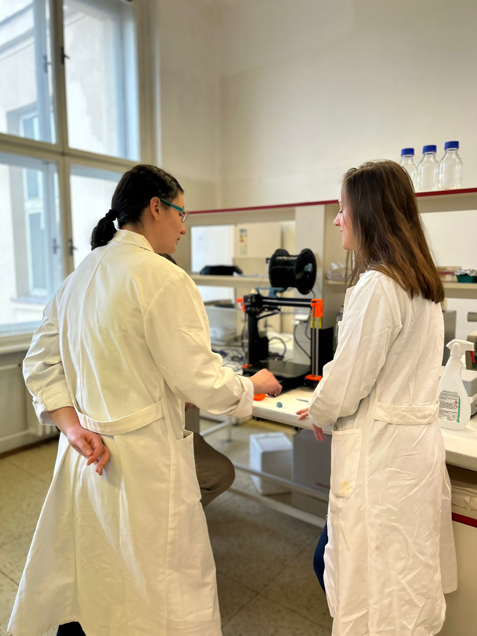 Brain matrix for slicing por Daniel | Educación | Printables.com