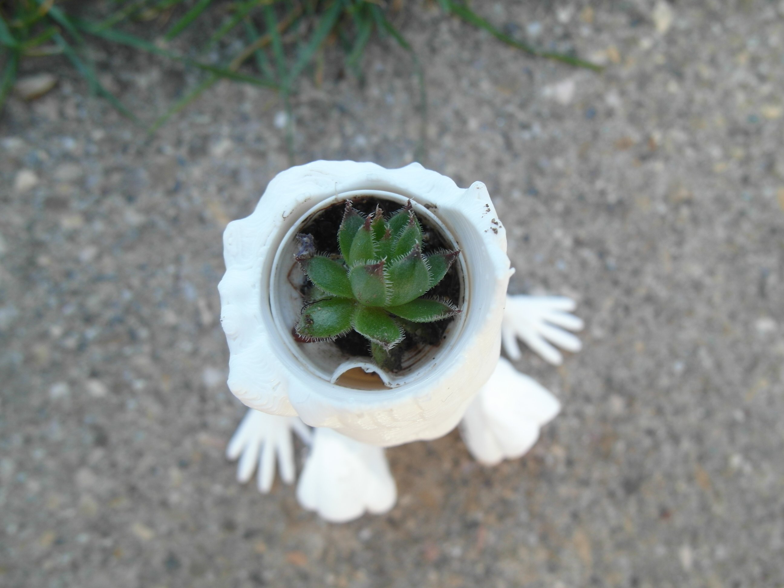 Self watering baby groot planter by UniversalMaker | Download free STL ...
