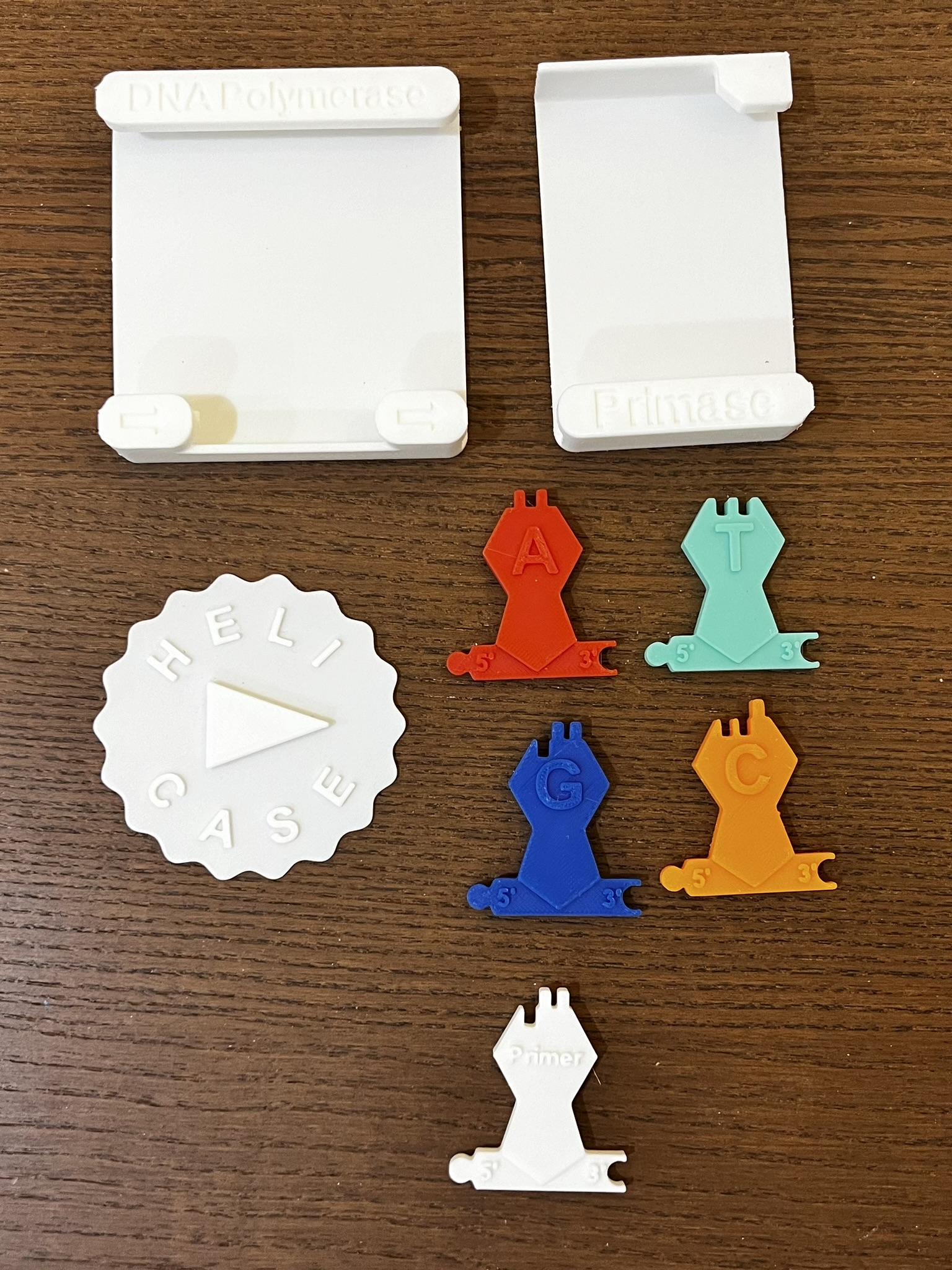 DNA Replication Manipulative by LTSci | Download free STL model ...