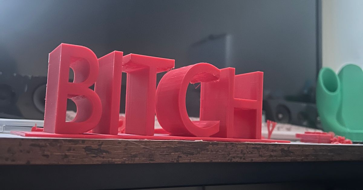 BITCH sign by billiebuilds | Download free STL model | Printables.com