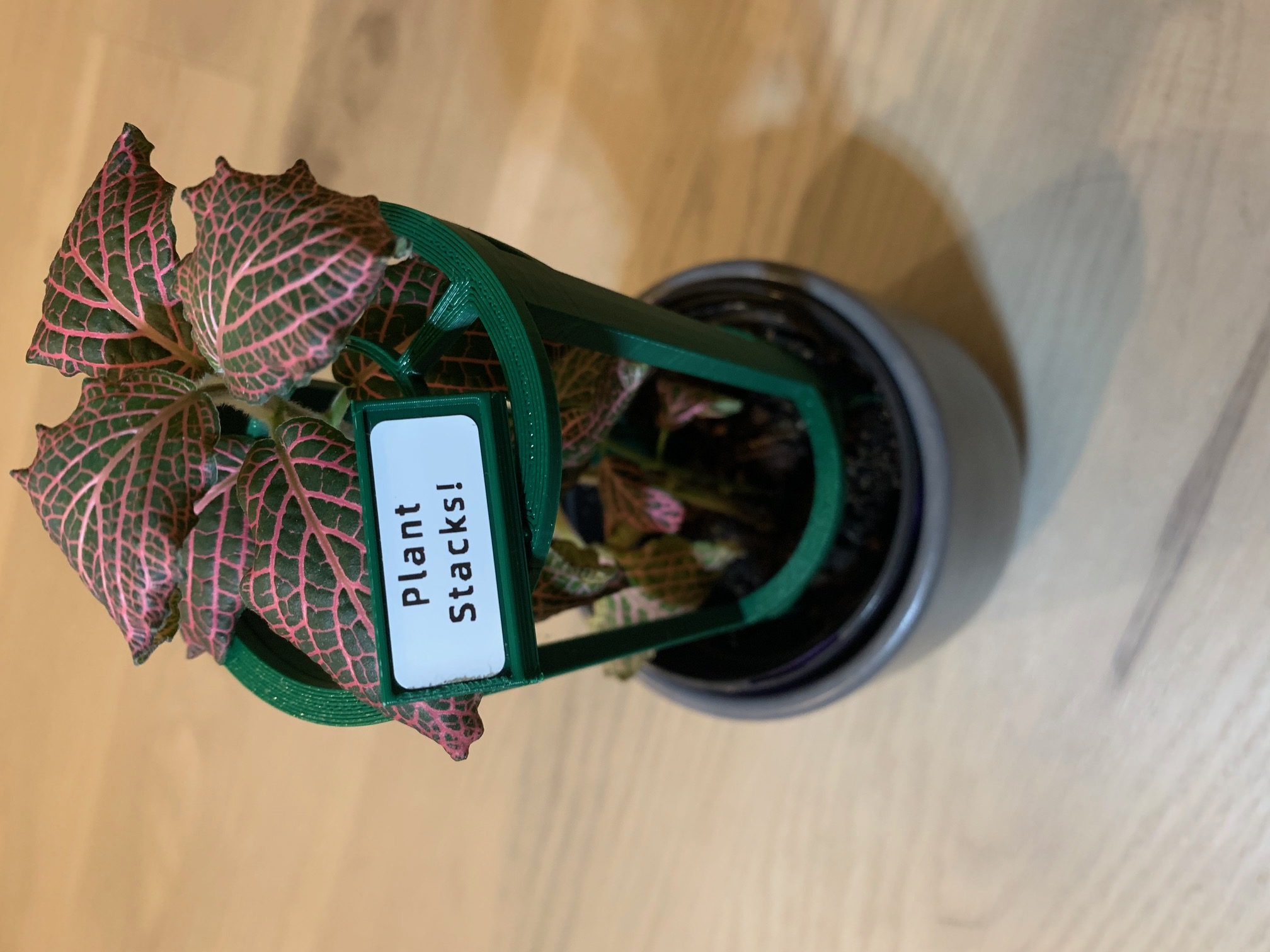 Plant Stacks! A Stackable Plant Support System - Basic Supports (60mm ...