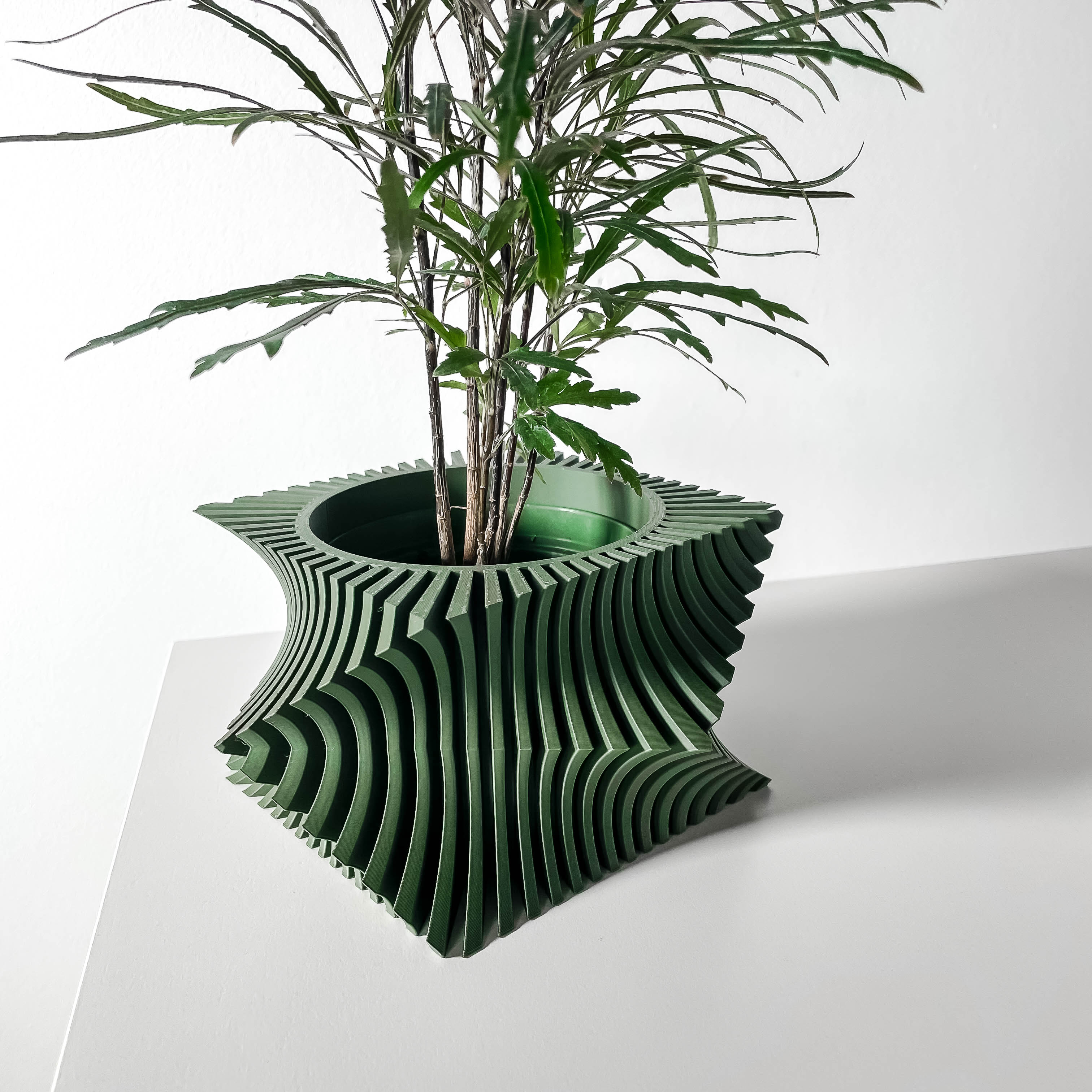 The Anio Wacky Planter Pot with Drainage Tray & Stand Included: Modern ...