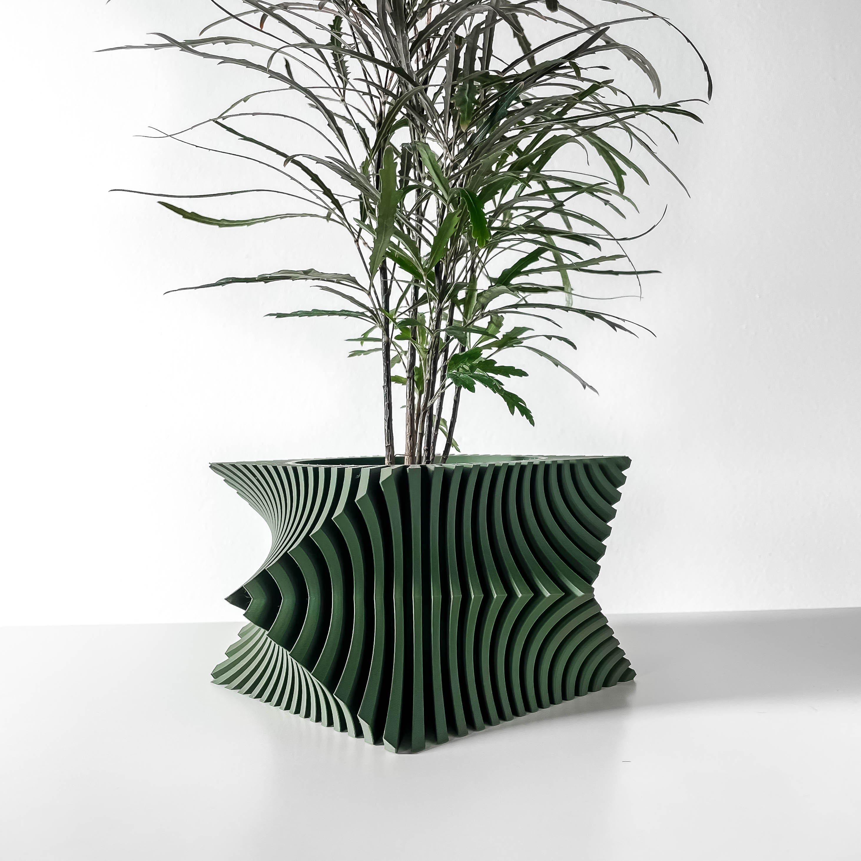 The Anio Wacky Planter Pot with Drainage Tray & Stand Included: Modern ...