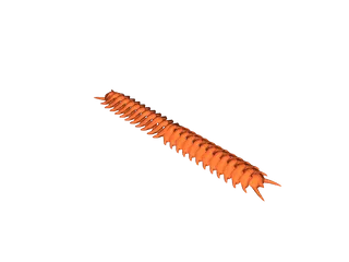 Centipede by Tyler Didier | Download free STL model | Printables.com