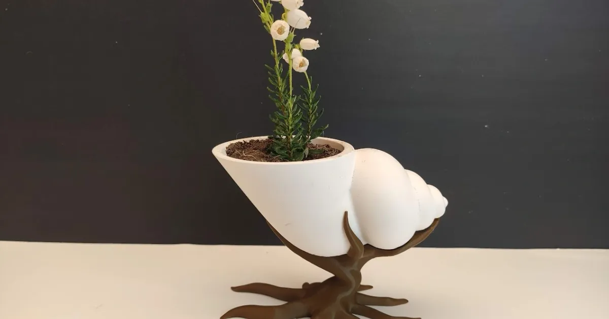 Shell-shaped pot on a bonsai tree - full resolution by Sevro ...