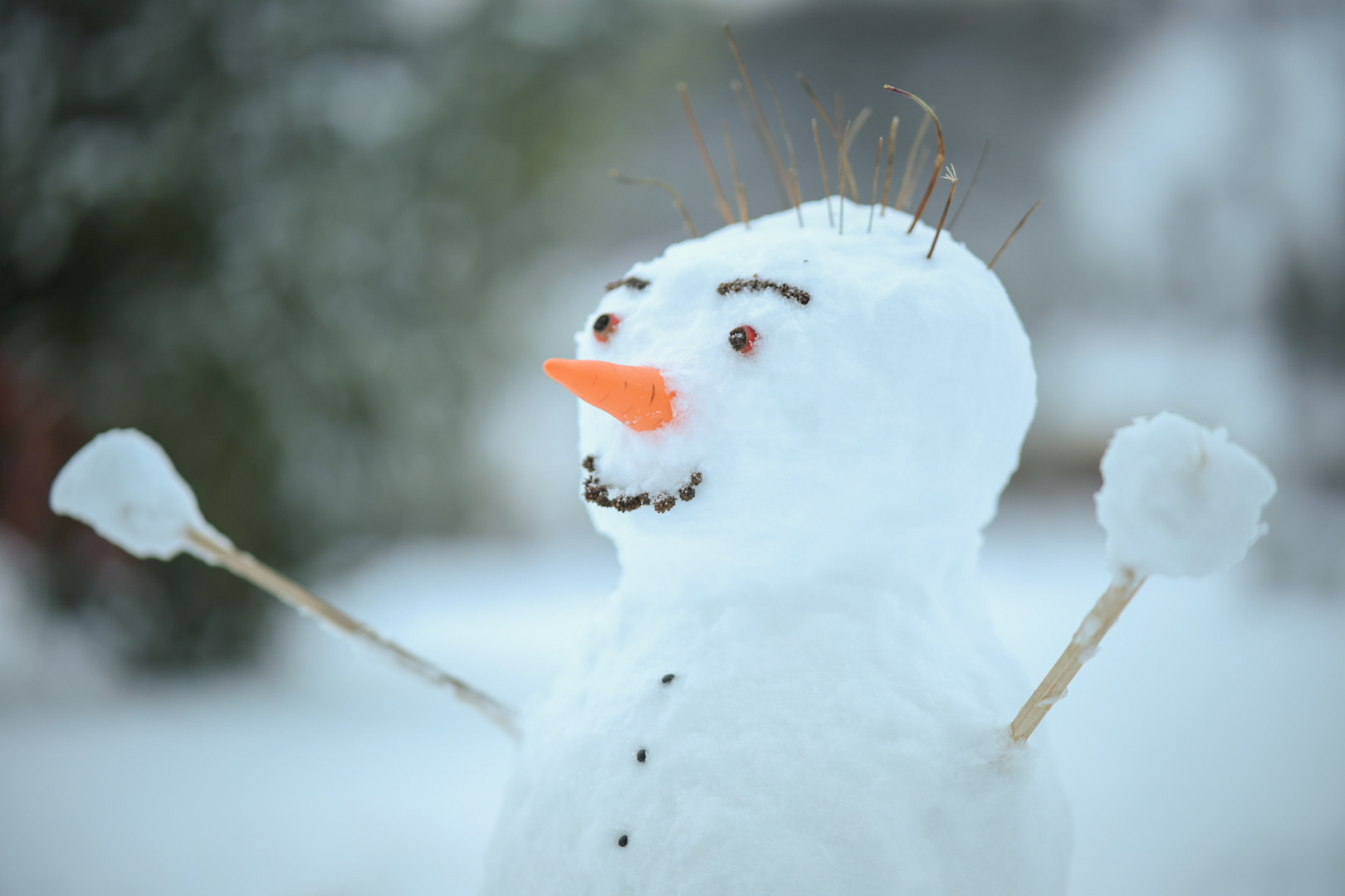 carrot-nose-for-the-snowman-by-mg-grafik-design-download-free-stl