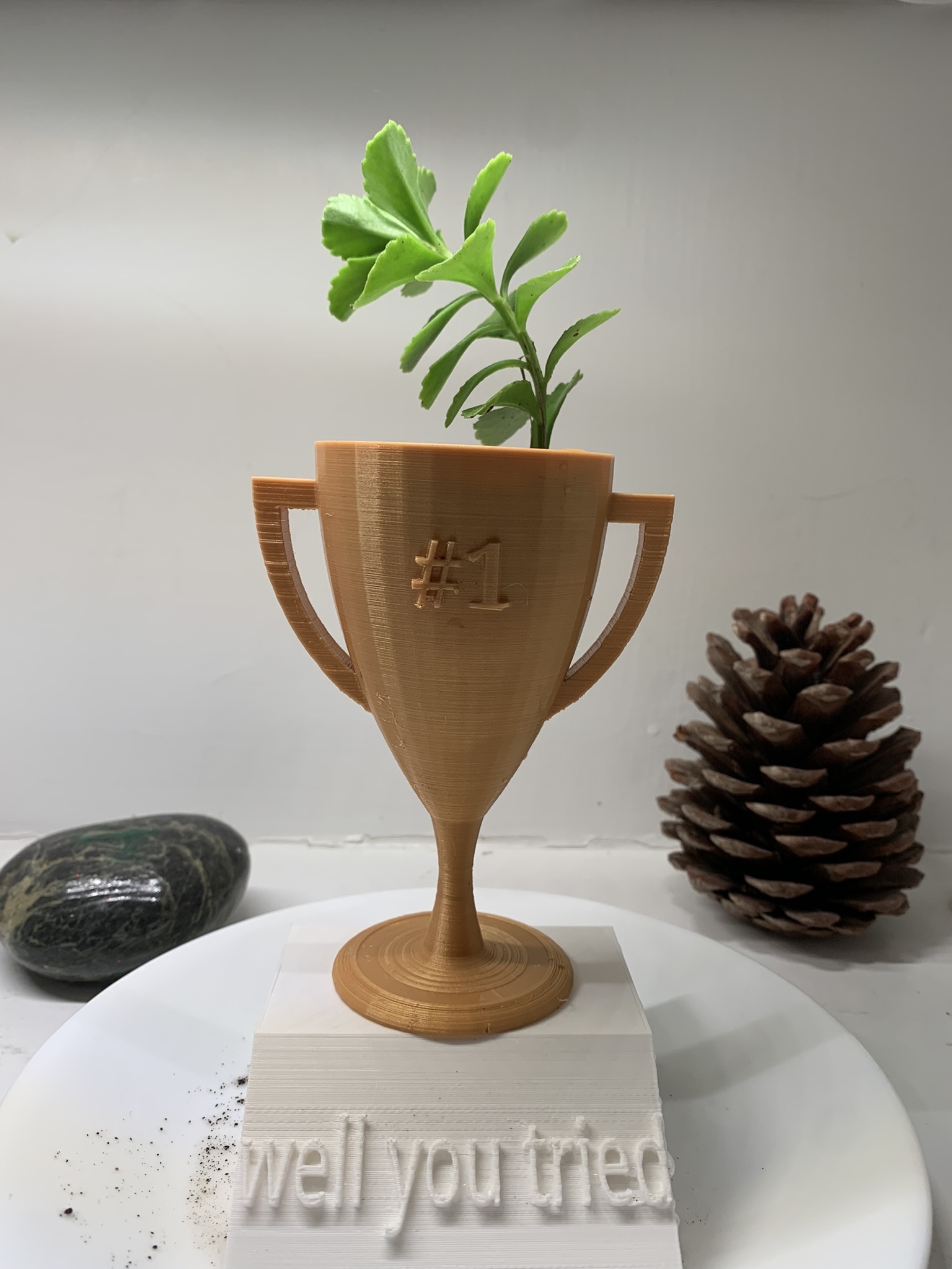 "WELL YOU TRIED" TROPHY PLANTER POT! by ATrain08 | Download free STL ...