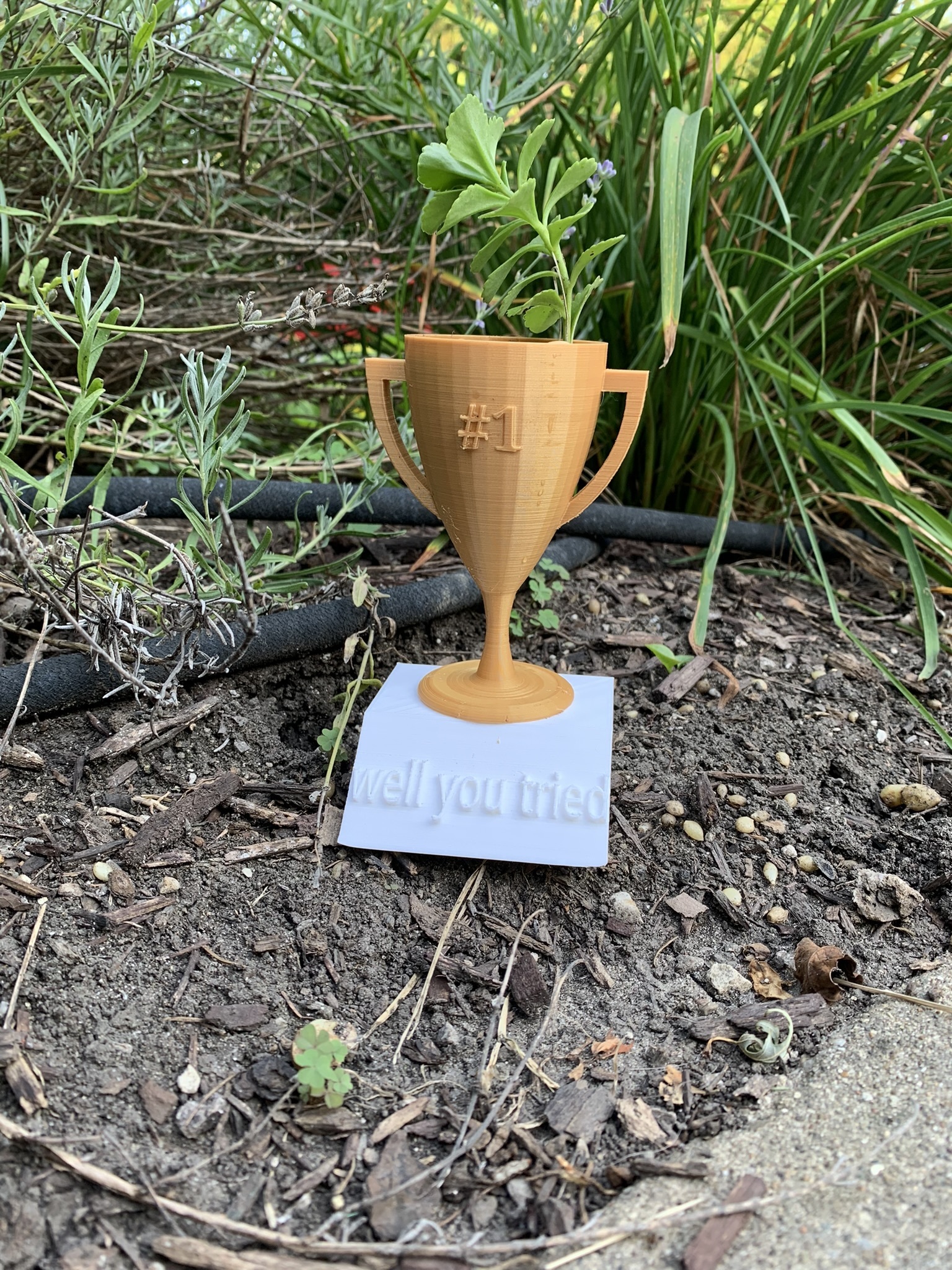 "WELL YOU TRIED" TROPHY PLANTER POT! by ATrain08 | Download free STL ...