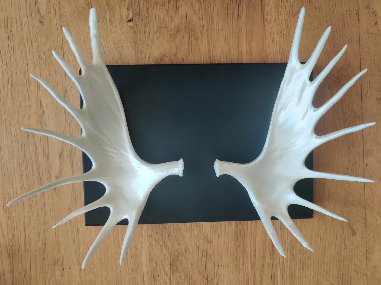 Moose antlers (part 2) by N Grim | Download free STL model | Printables.com