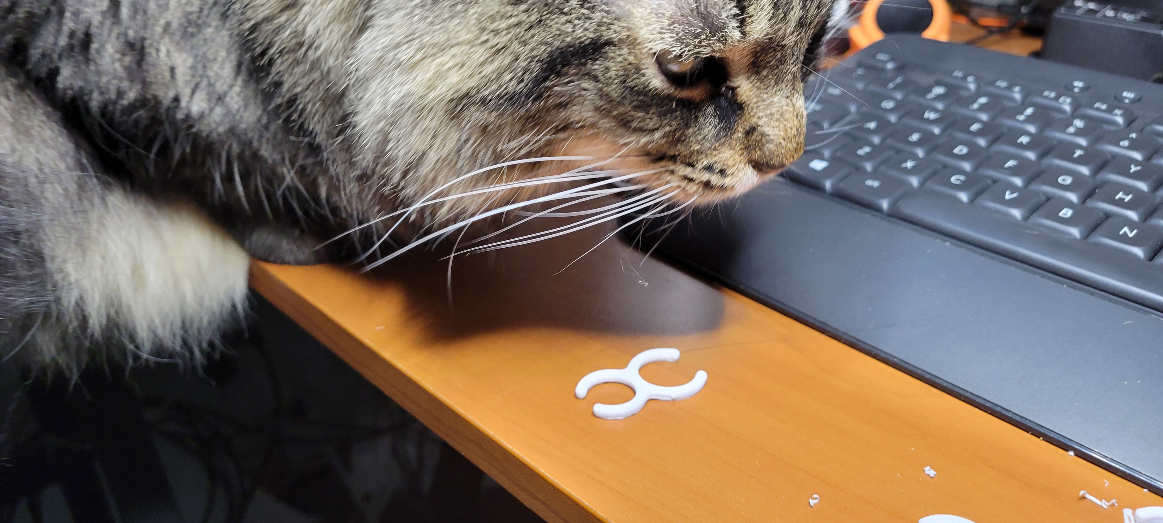 protected Oxygen hose - Clips for CPAP Hose by Dimbulb | Download free ...