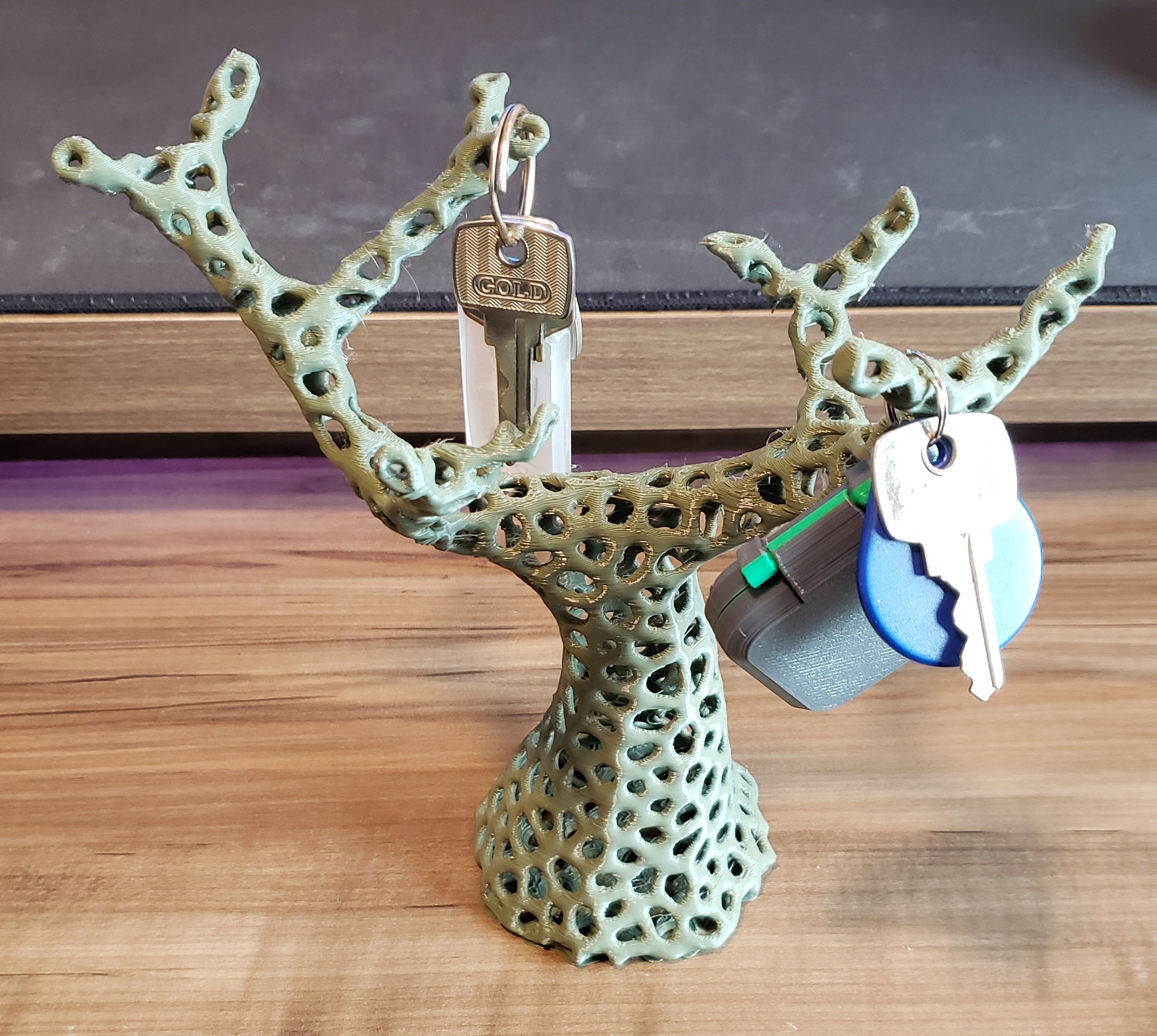 Voronoi Key Holder Bonsai Tree by Migueppc | Download free STL model ...