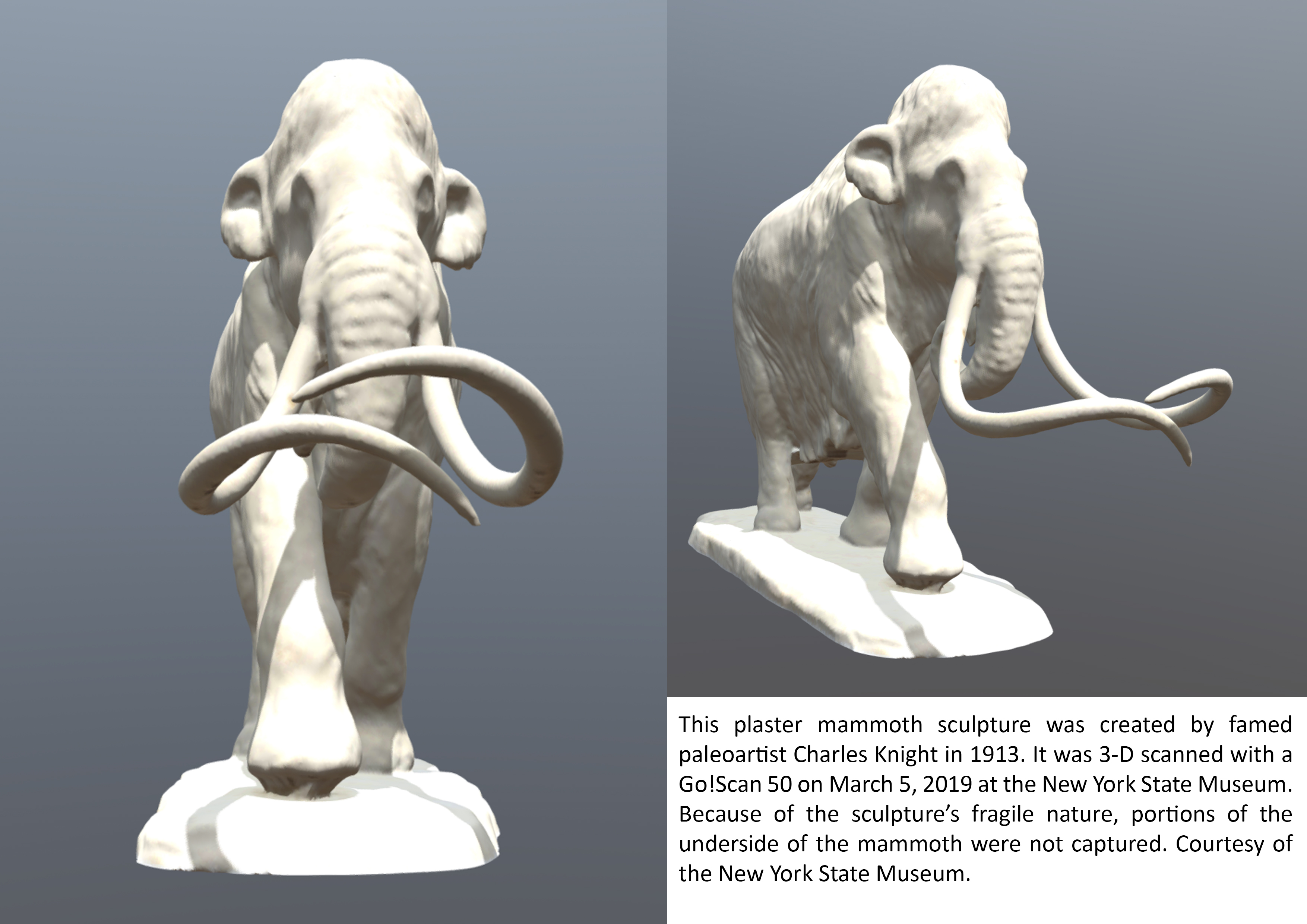 mammoth by Kisoloy | Download free STL model | Printables.com