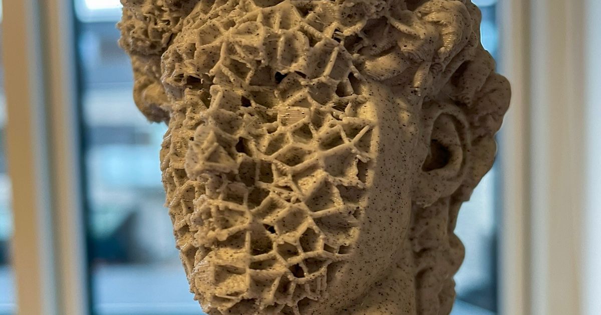 Fractured David bust (By Michelangelo) by lowlandet | Download free STL ...