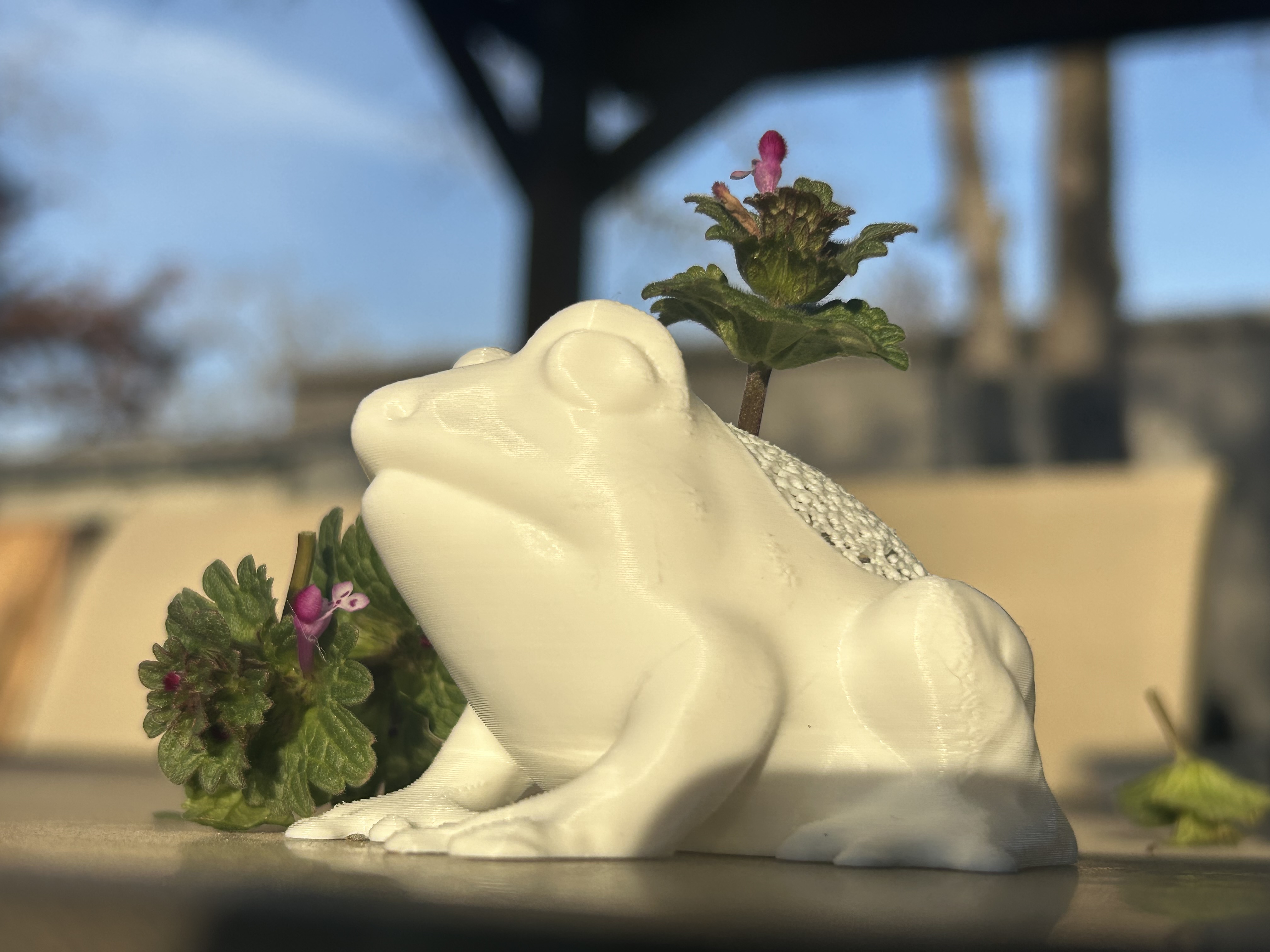Enchanting Frog Planter: Nature-Inspired Voronoi Elegance by ...