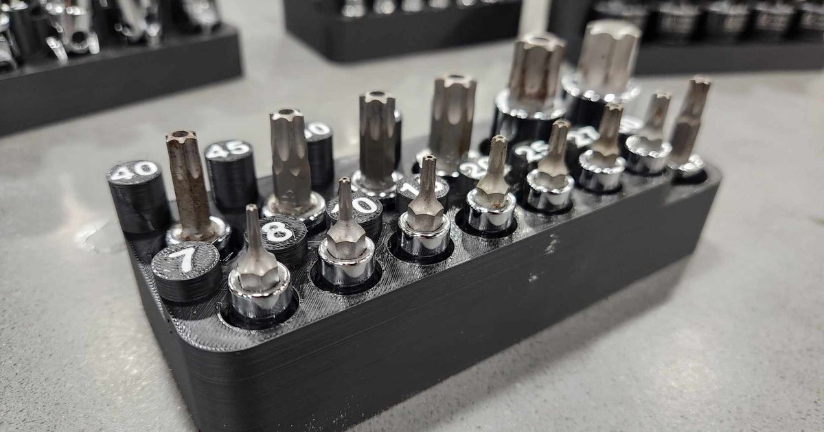 Torx Socket Organizer por Devin McGrath | Descargar modelo STL gratuito ...