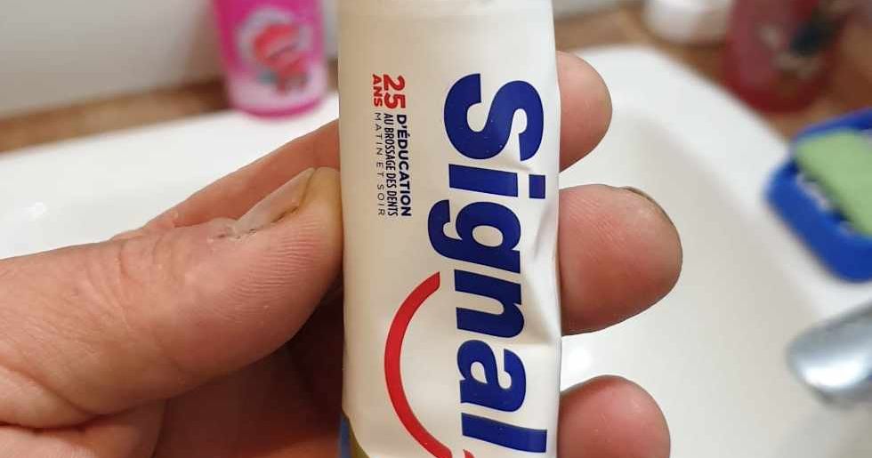 pig toothpaste cap by 3D_Print | Download free STL model | Printables.com