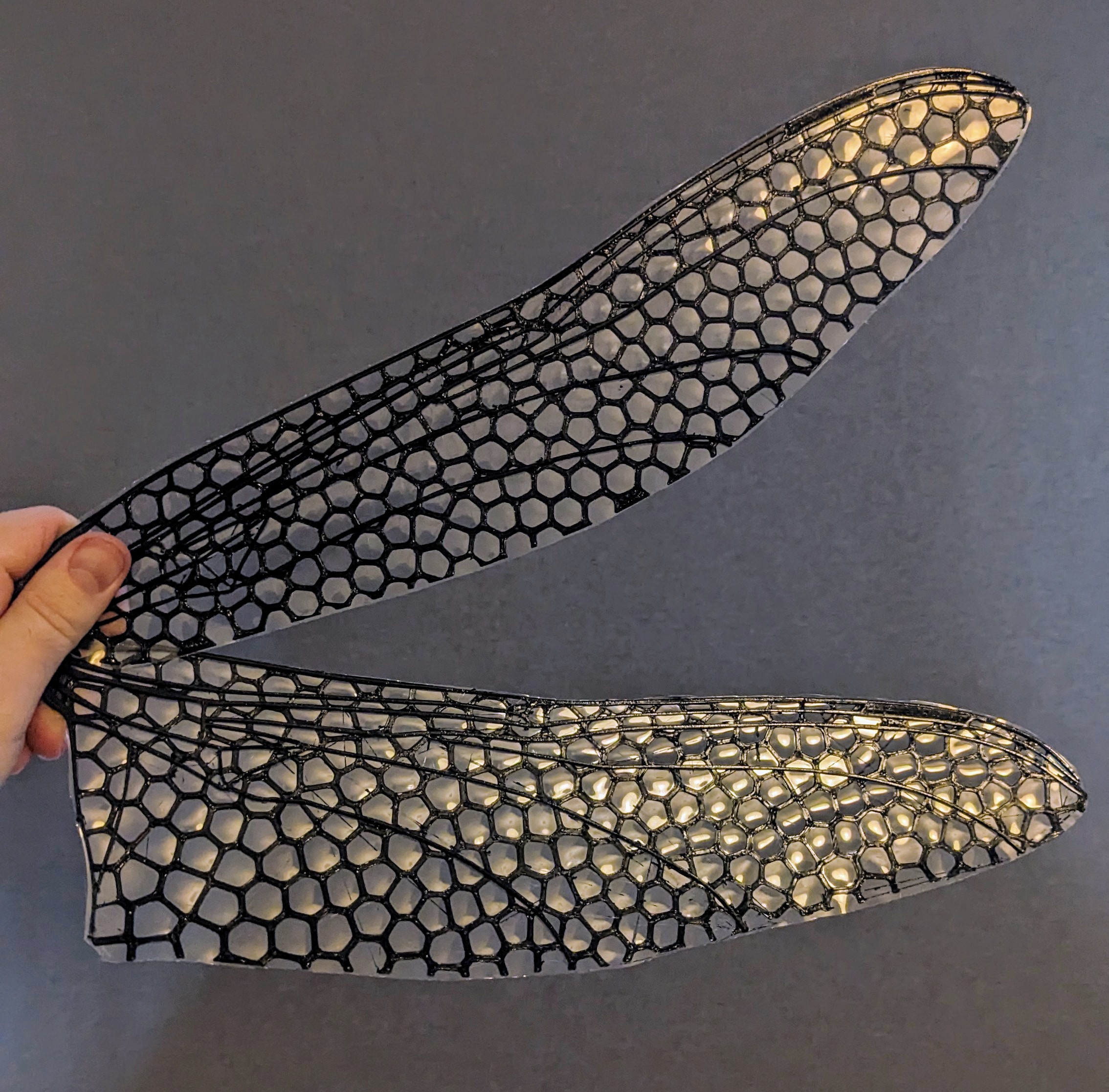 Bionic Dragonfly Wings - Voronoi with Main Venation for MAVs by Morty_Fire | Download free STL ...