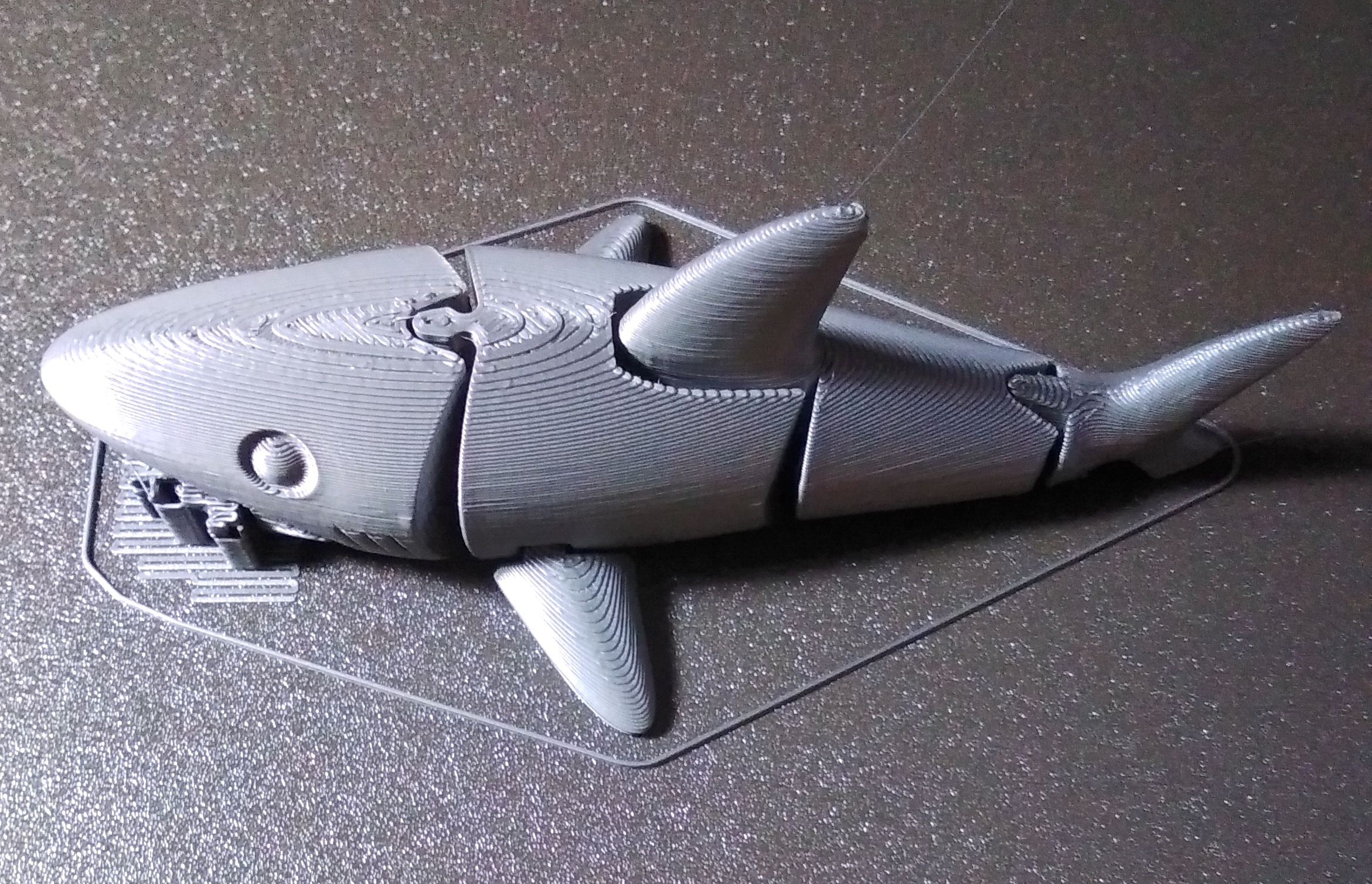 Articulated Shark by Lali3d | Download free STL model | Printables.com