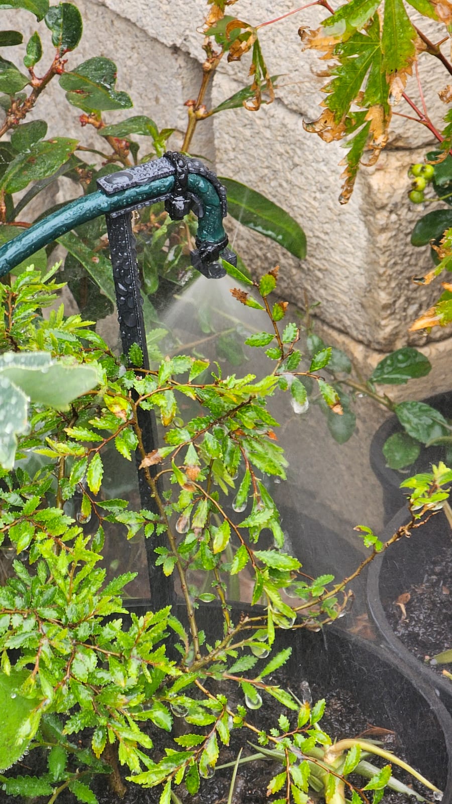 Watering spikes for 6 mm OD piping, bending up or down by NelisW ...