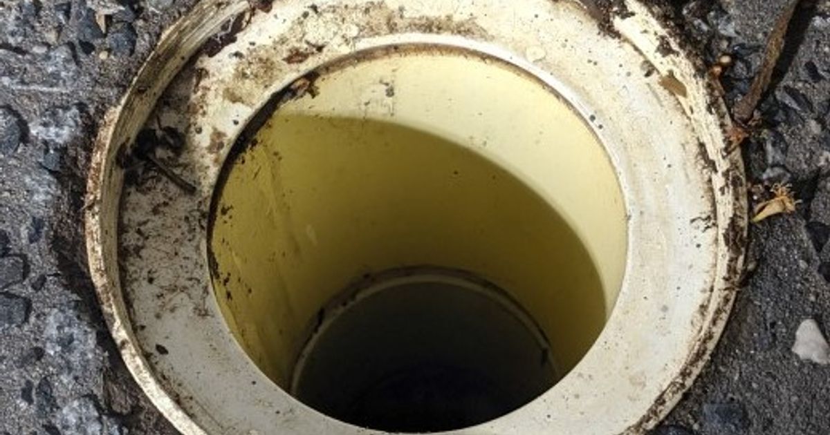 100mm Sewer Collar Lid by ezascanbe | Download free STL model ...