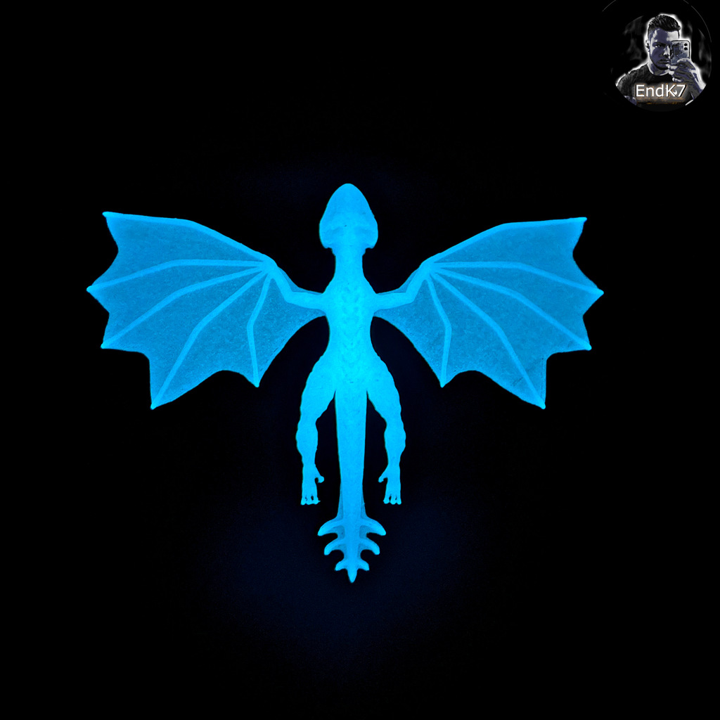 Flying Dragon - Glow in The Dark - Wyvern by EndK7 | Download free STL ...