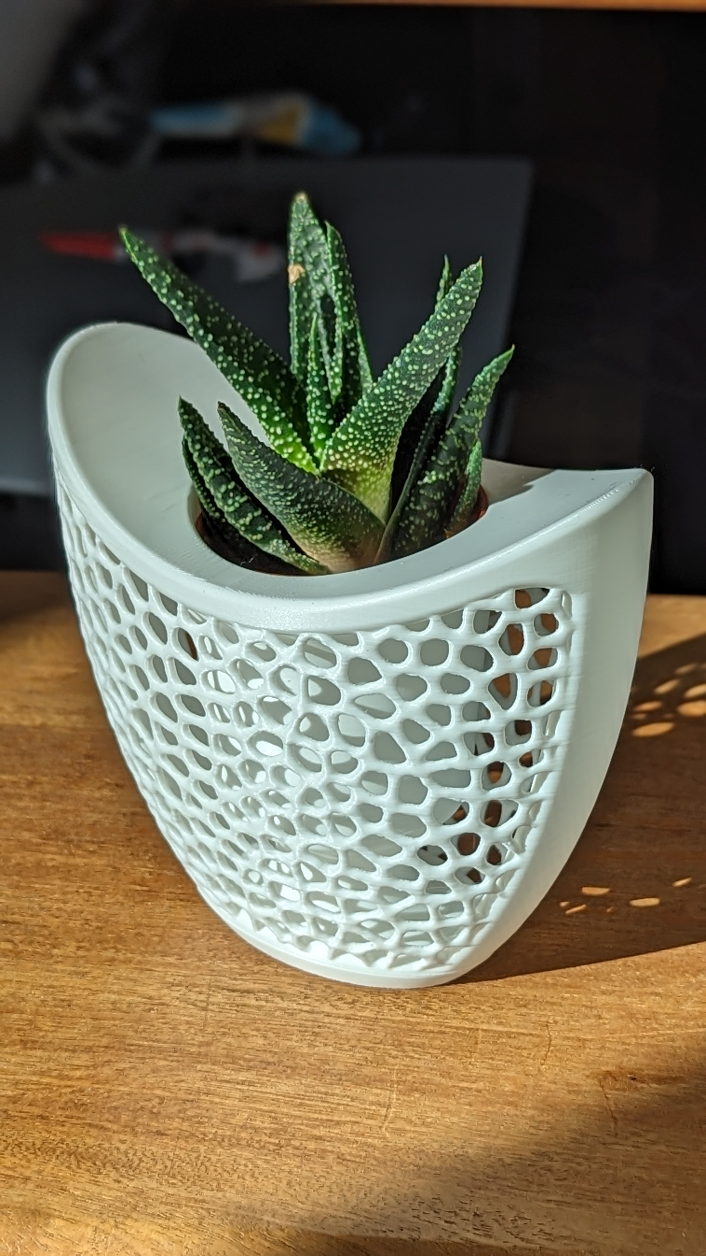 Voronoi Design Planter with water cup by Kamteix | Download free STL ...