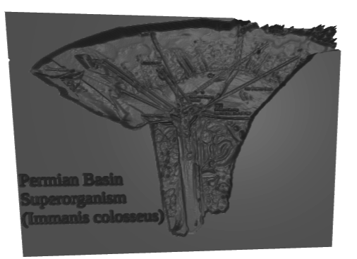 Permian Basin Superorganism Model (Immanis colosseus) by ...