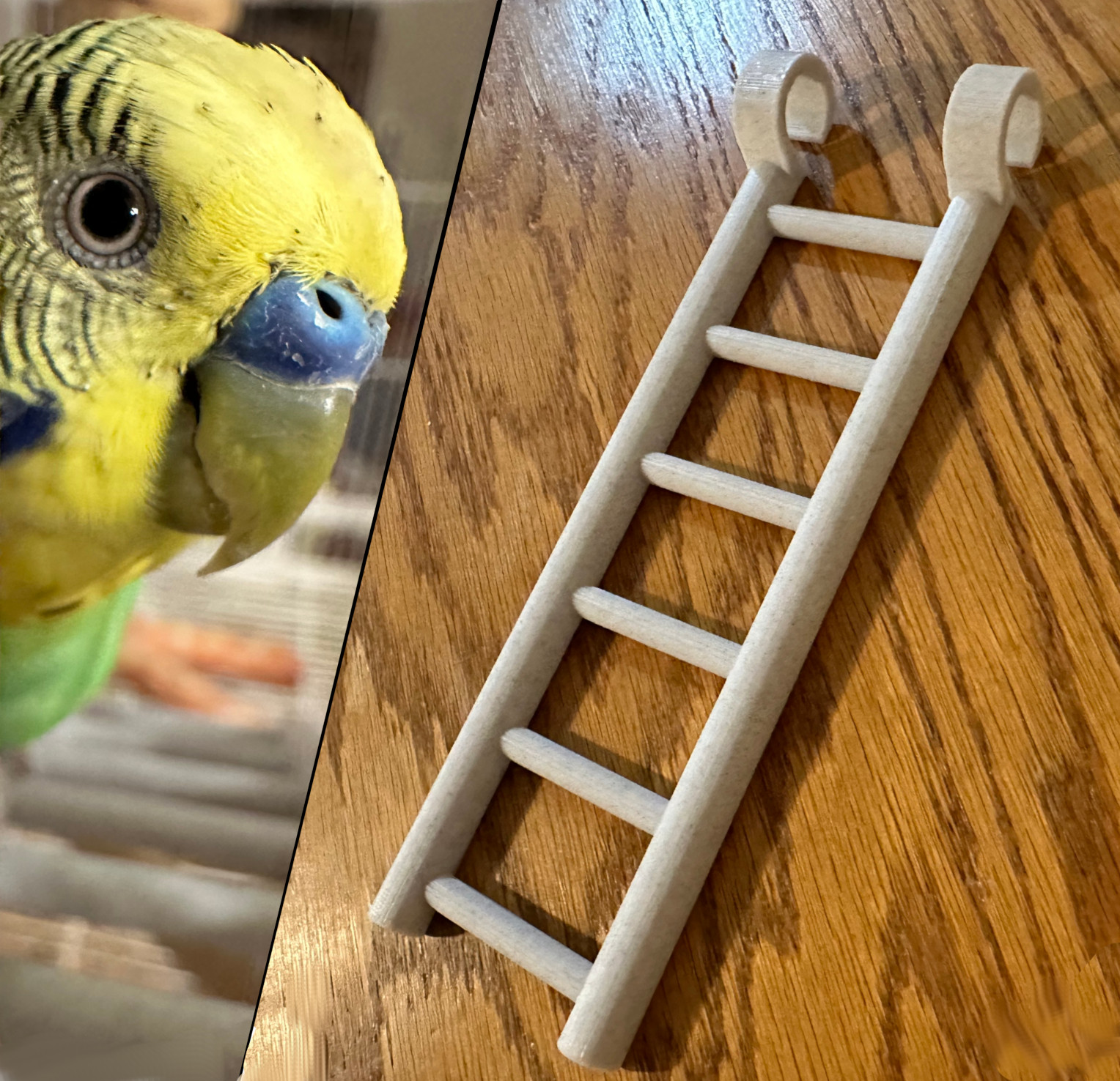 Parakeet Bird Toy Ladder by Exner | Download free STL model ...