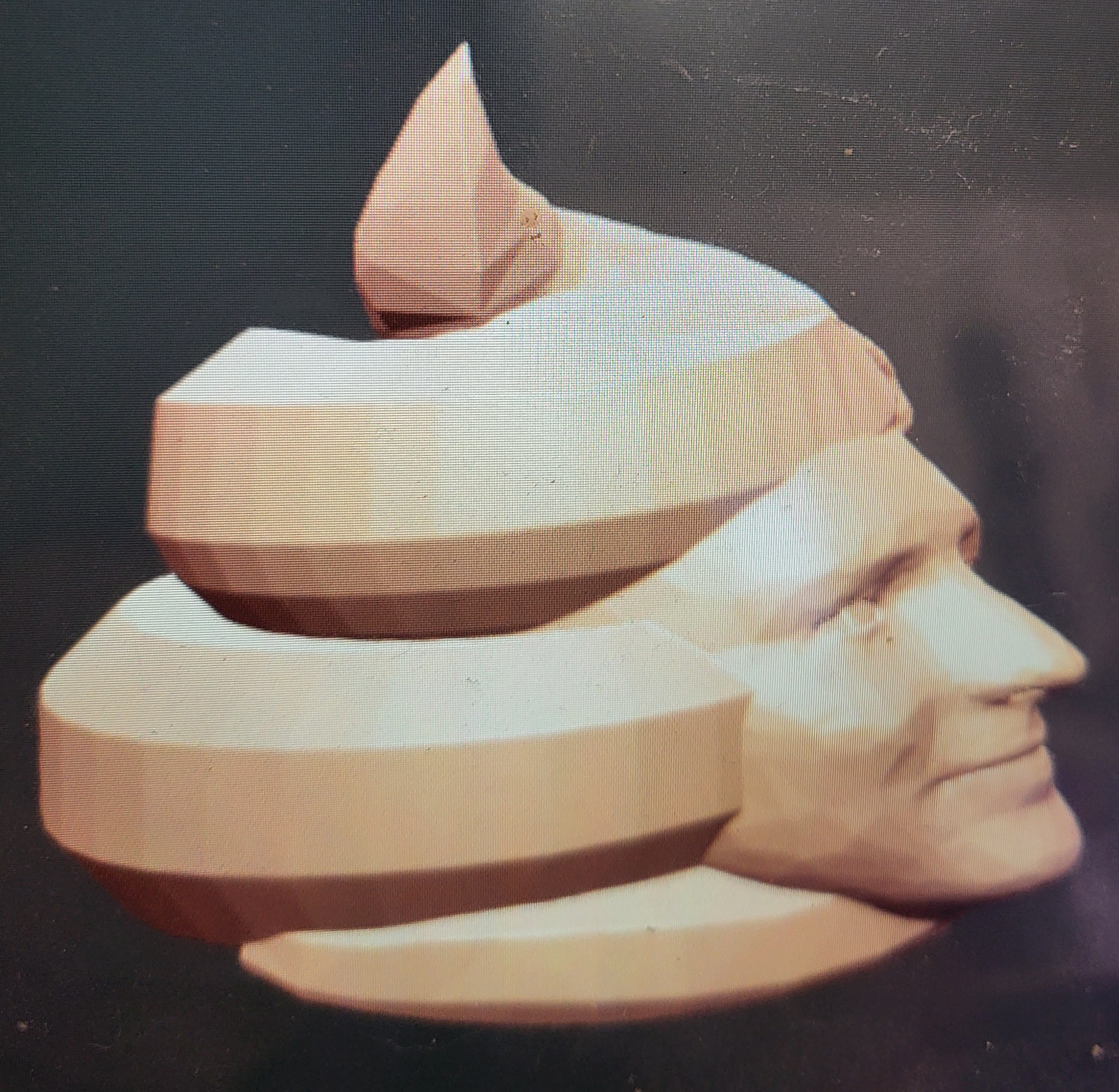 Justin Trudeau Poop by Odinson | Download free STL model | Printables.com