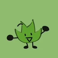 BFDI models for 3D printer | Printables.com