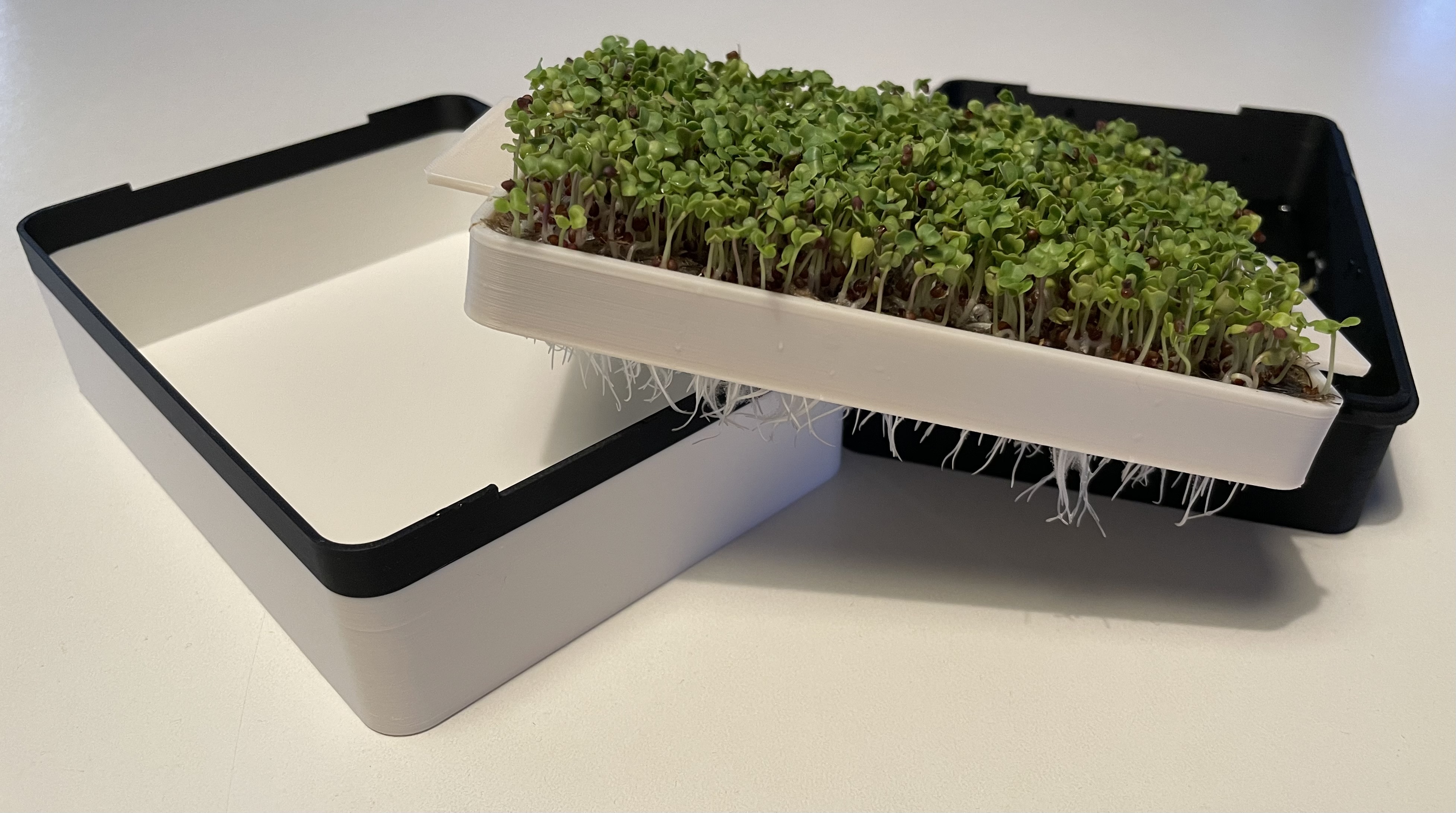 Micro Greens seed tray by segfault | Download free STL model ...