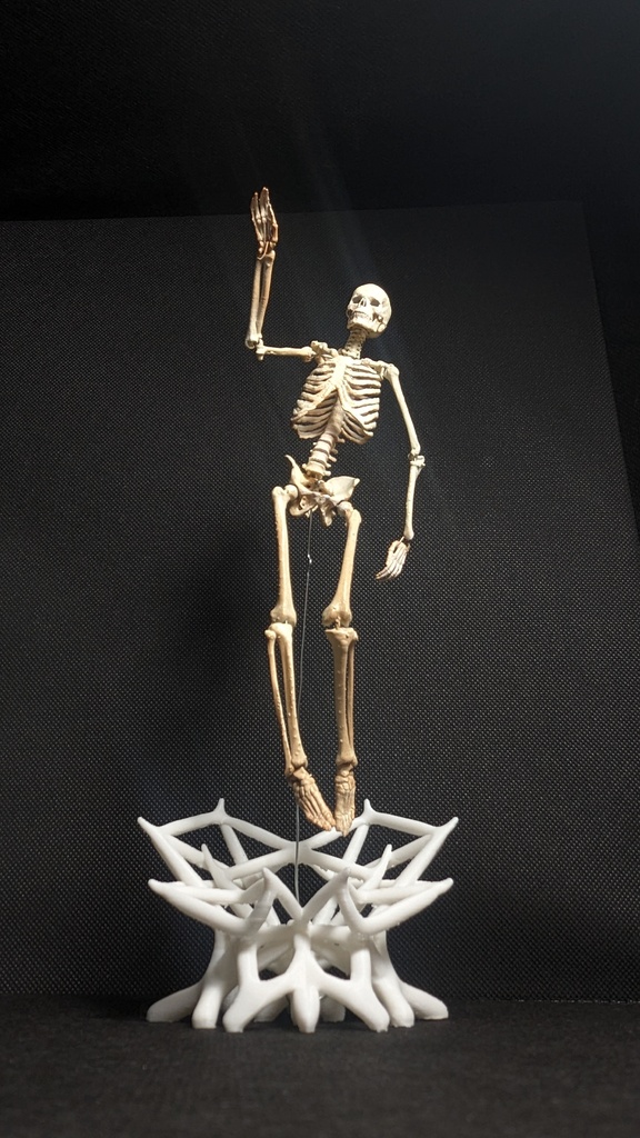 Poseable Human Skeleton Display - 1/10th Scale by Ugly Robot | Download free STL model ...