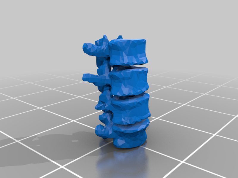 Poseable Human Skeleton Display - 1/10th Scale by Ugly Robot | Download free STL model ...