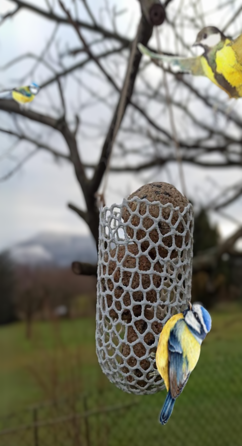 Safe voronoi FatBall bird feeder by Gajdy | Download free STL model ...