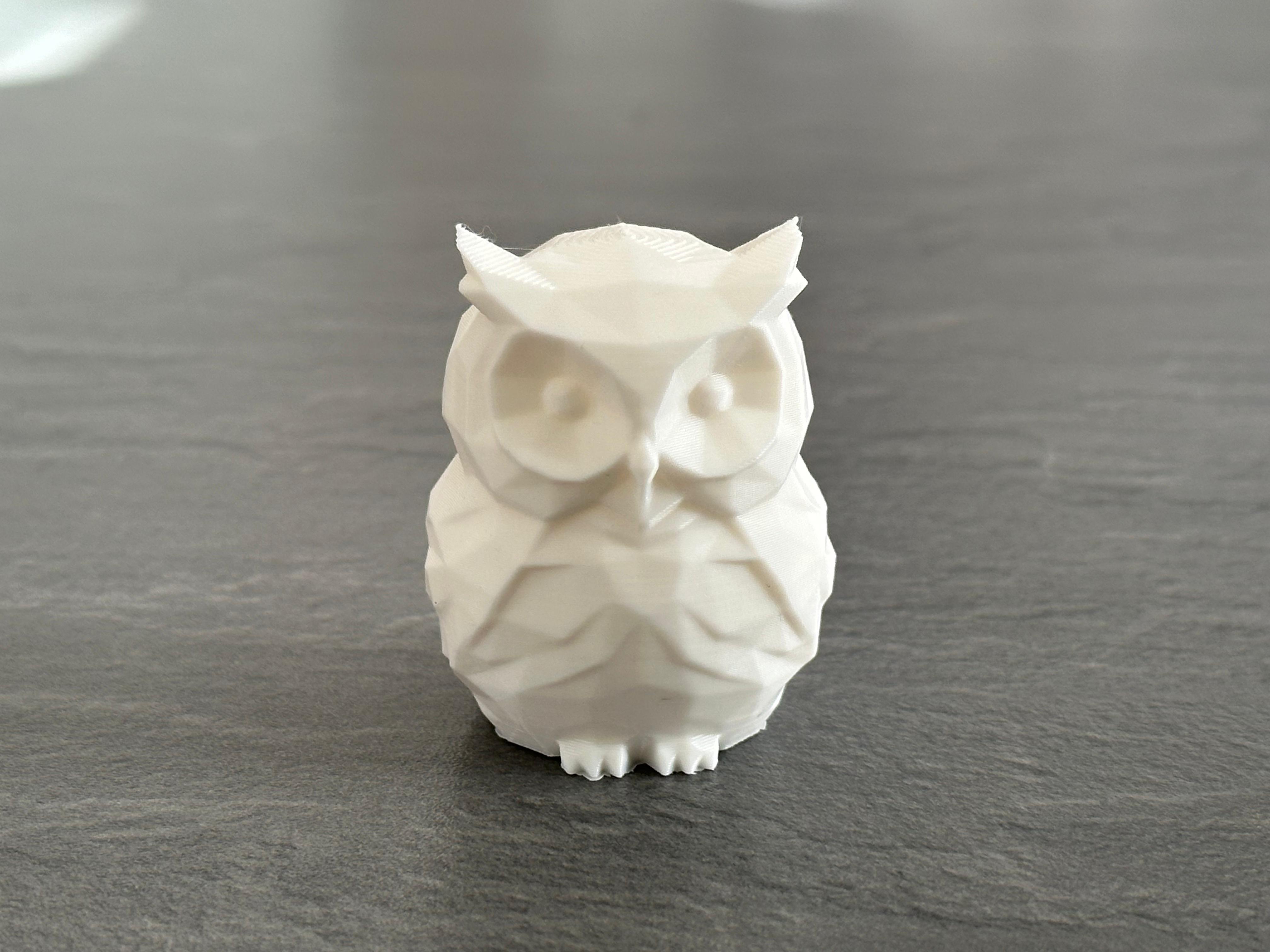 Cute Low Poly Owl (No Supports) by Matthias L | Download free STL model ...