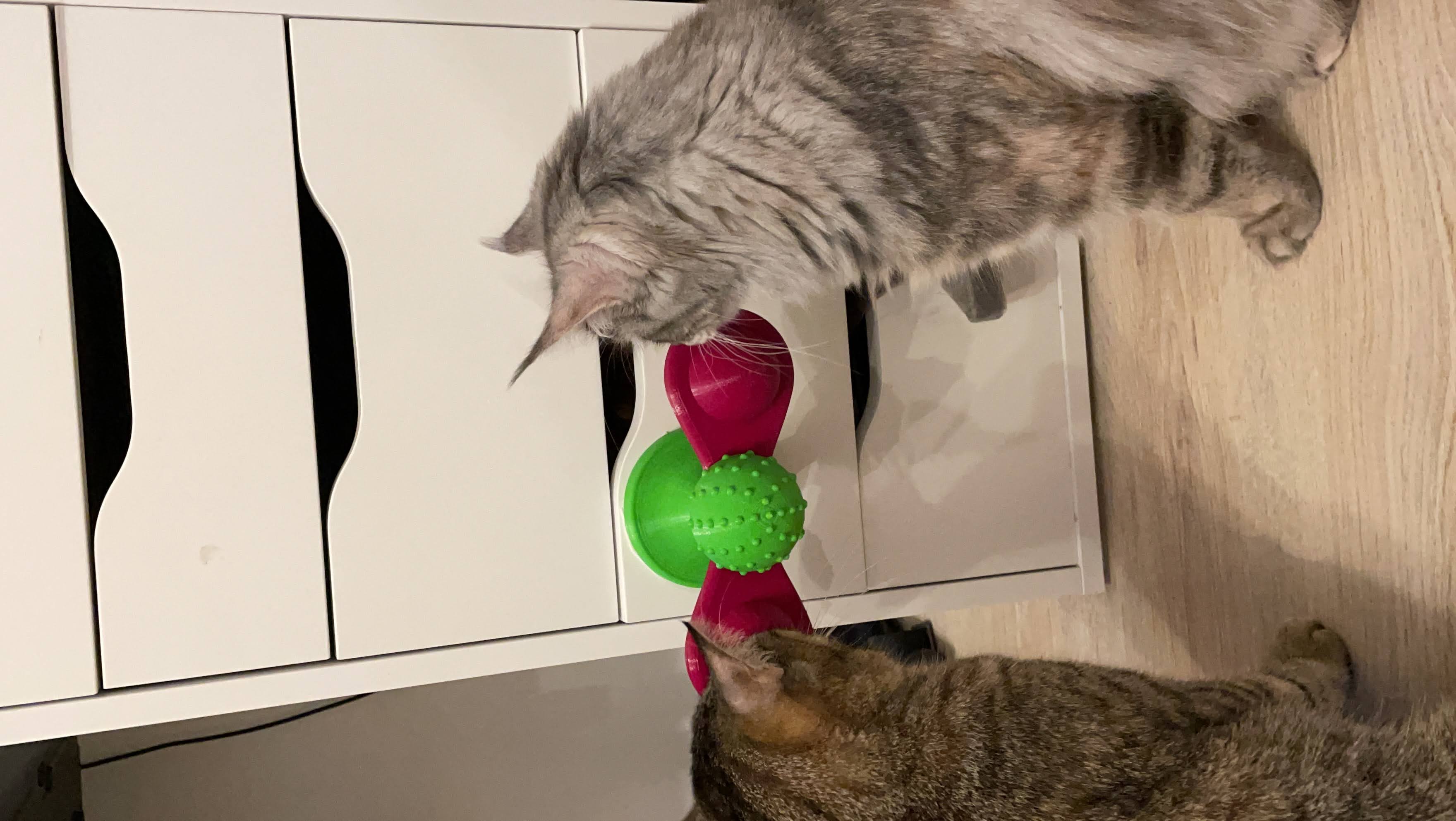 Cat spinner (toy) by VercaK | Download free STL model | Printables.com