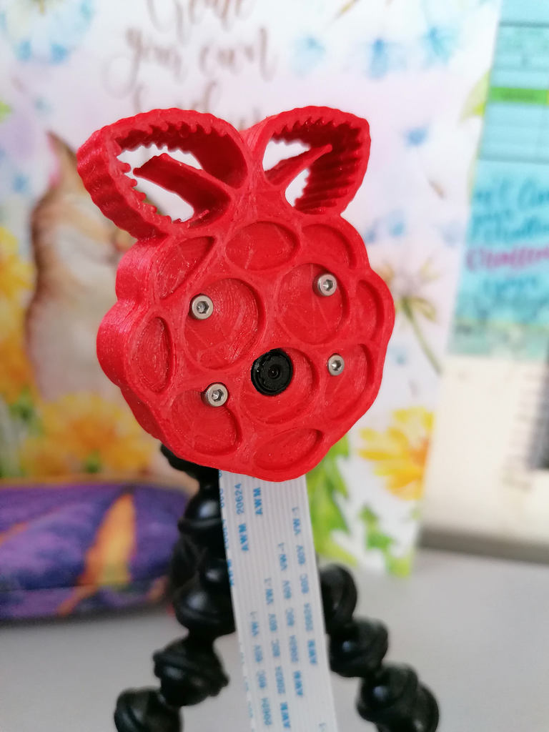 RaspiCam Raspberry camera v1.3 module tripod case by MakanMaker ...