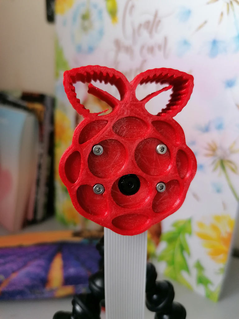 RaspiCam Raspberry camera v1.3 module tripod case by MakanMaker ...