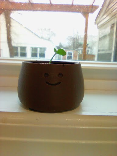 mini planter by AShollar | Download free STL model | Printables.com
