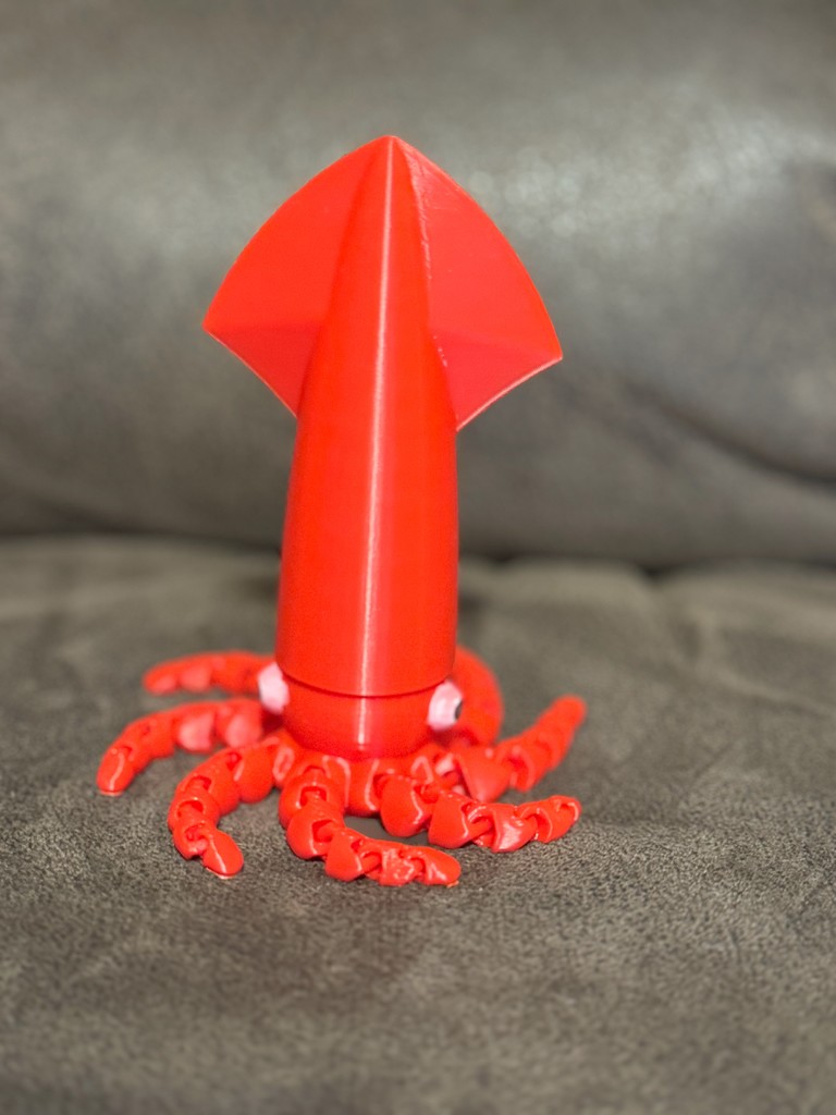 Cute Giant-Head Flexi Squid (Squidopus) by Bovideus | Download free STL ...