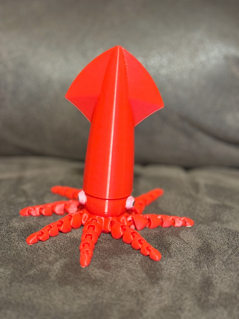 Cute Giant-Head Flexi Squid (Squidopus) by Bovideus | Download free STL ...