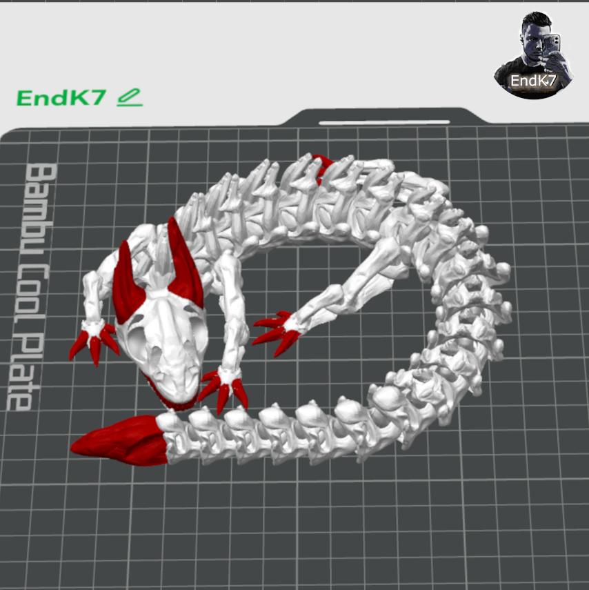 Skeleton Dragon - Articulated - Print in Place - No Supports - Flexi ...